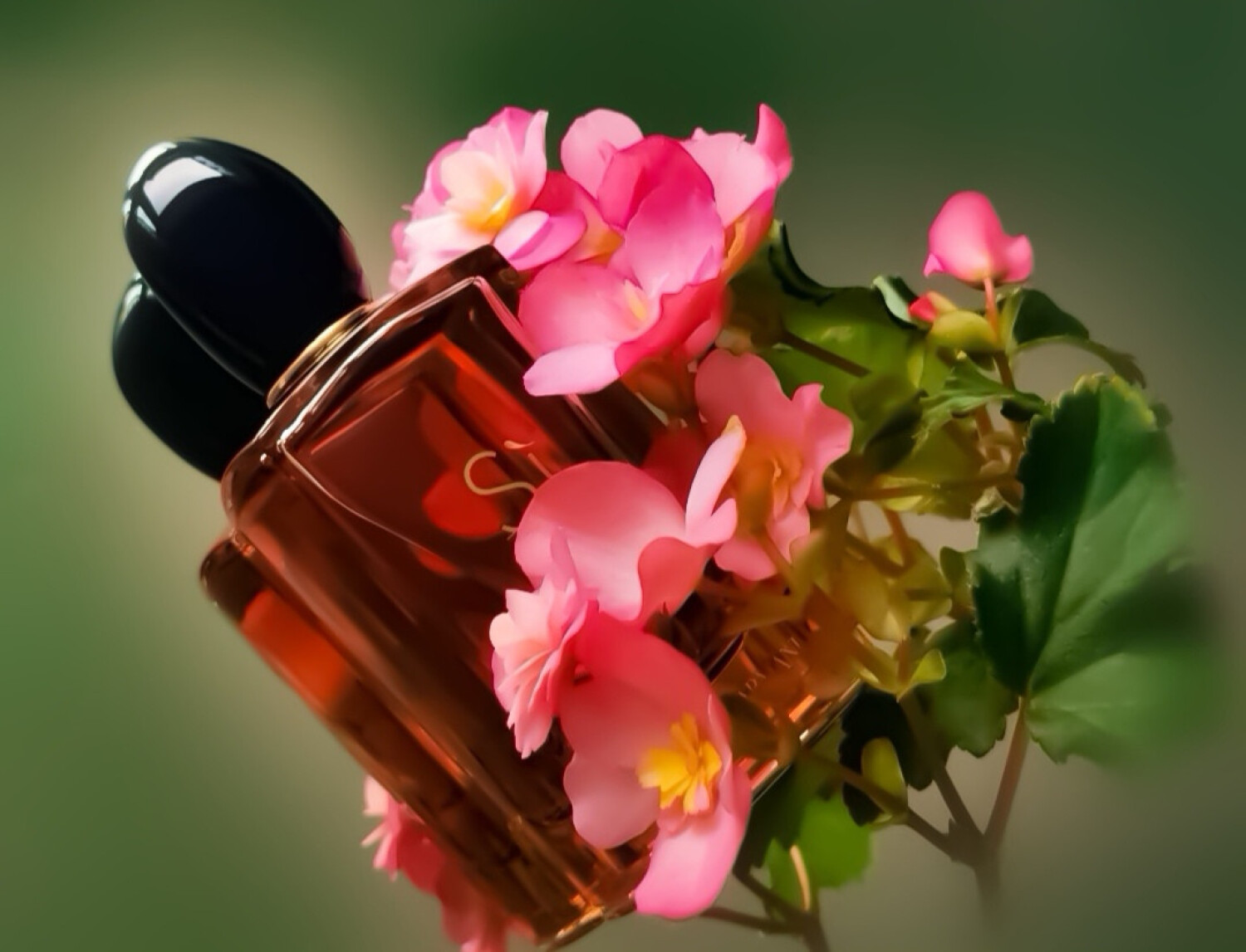 Sì Intense 2021 Giorgio Armani perfume - a fragrance for women 2021