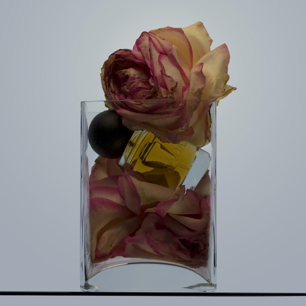 Sadanne Slumberhouse perfume - a fragrance for women and men 2014