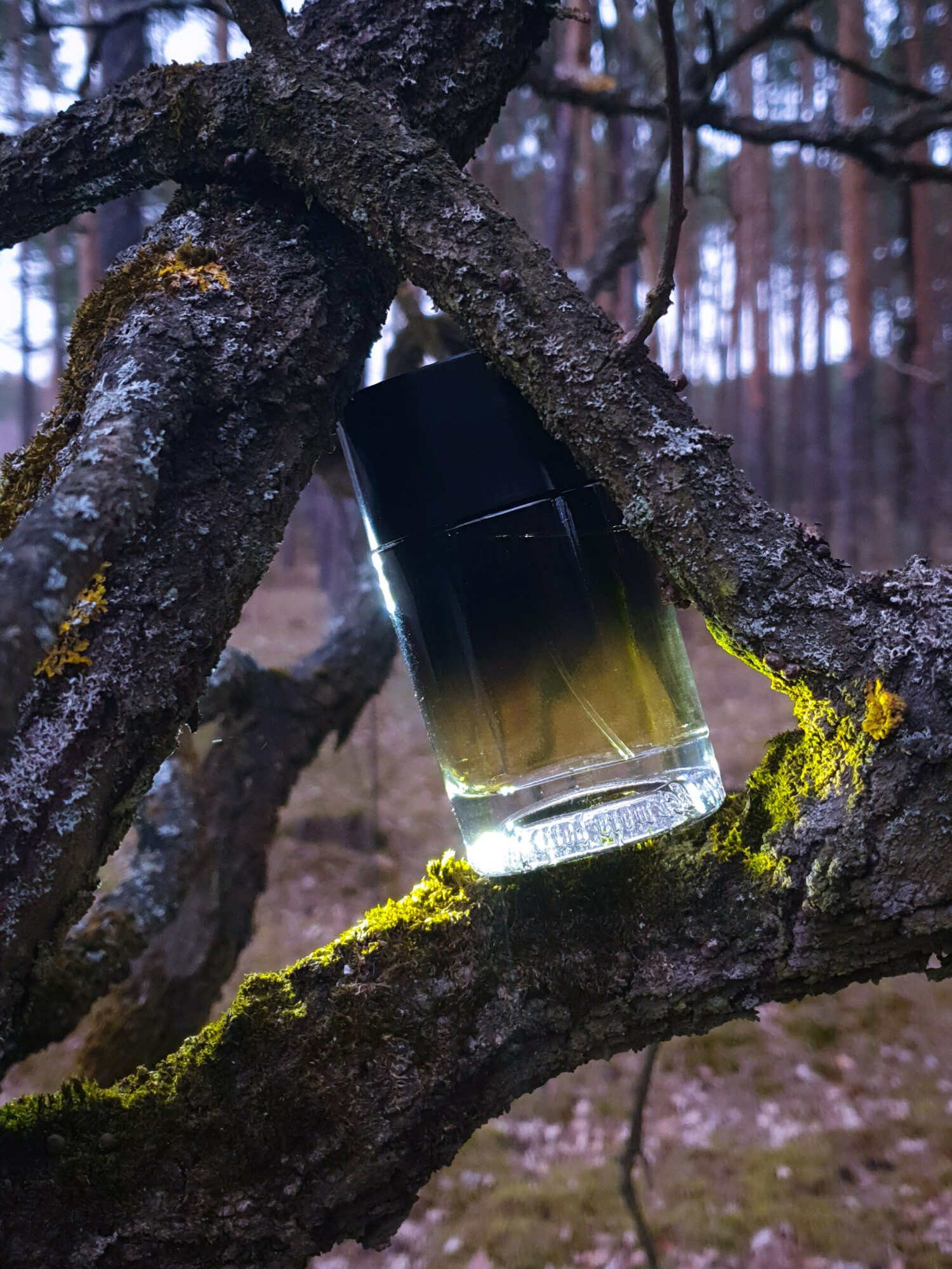 34 Boulevard Saint Germain Eau de Parfum Diptyque perfume - a fragrance ...