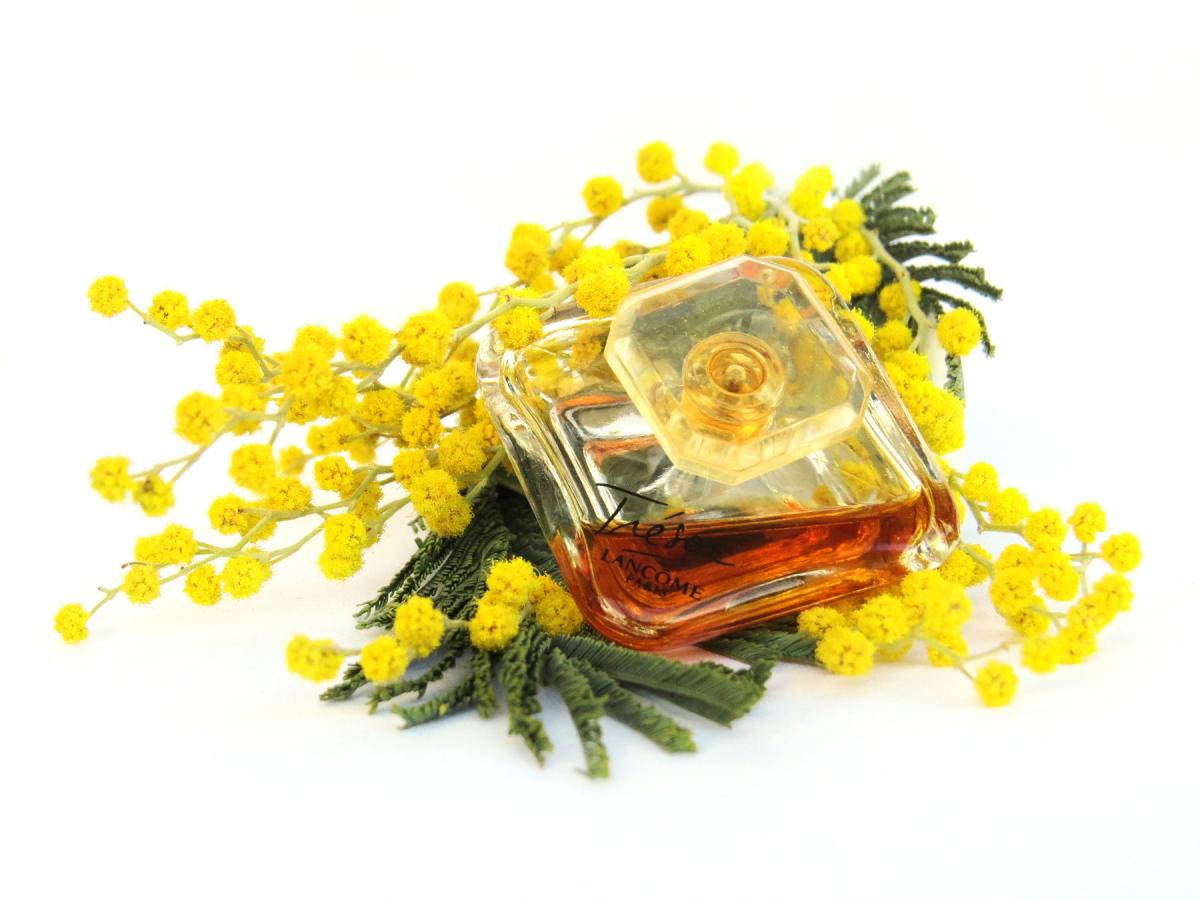 Tresor Lancome perfume - a fragrance for women 1990