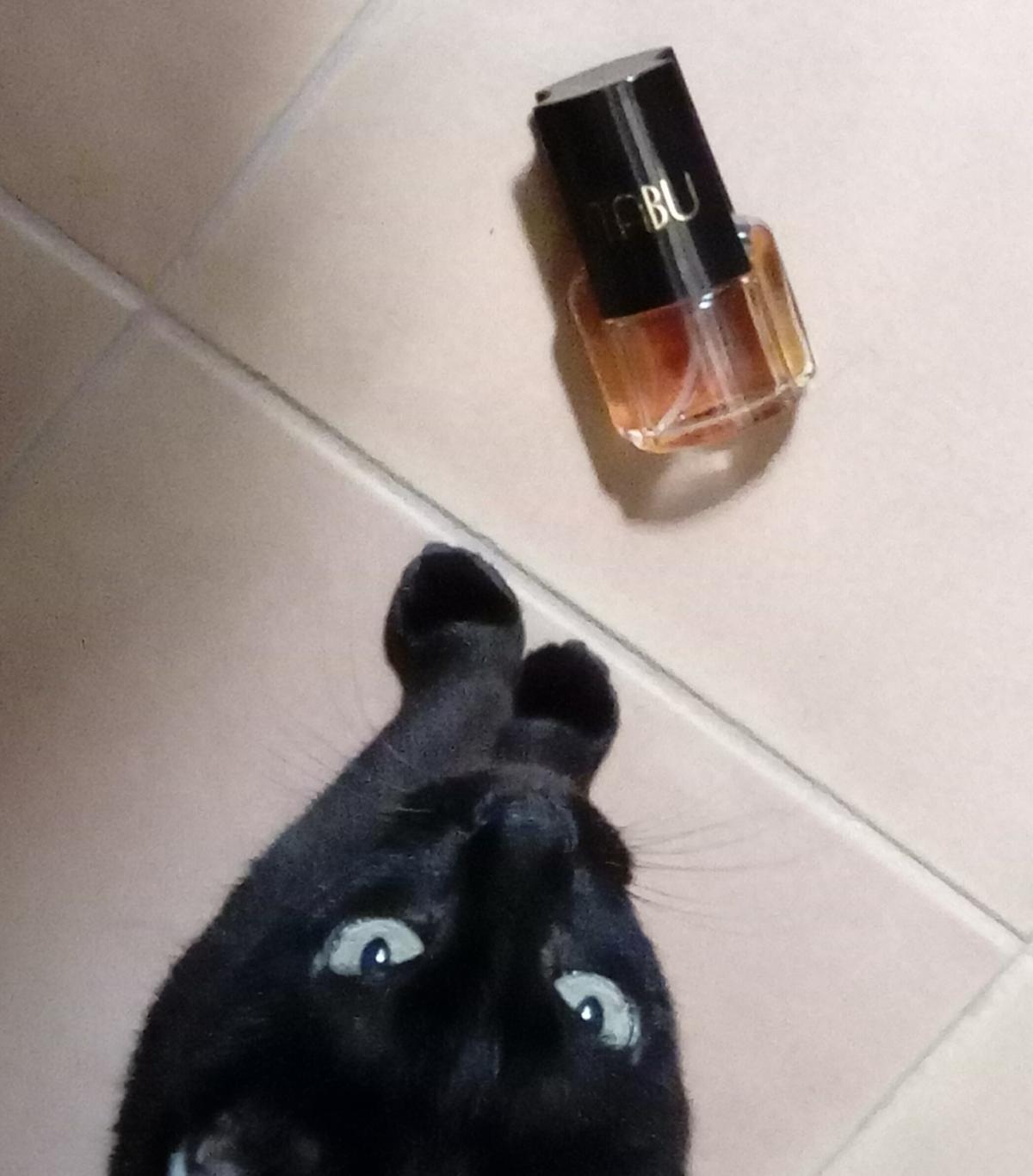 Tabu Dana perfume - a fragrance for women 1932