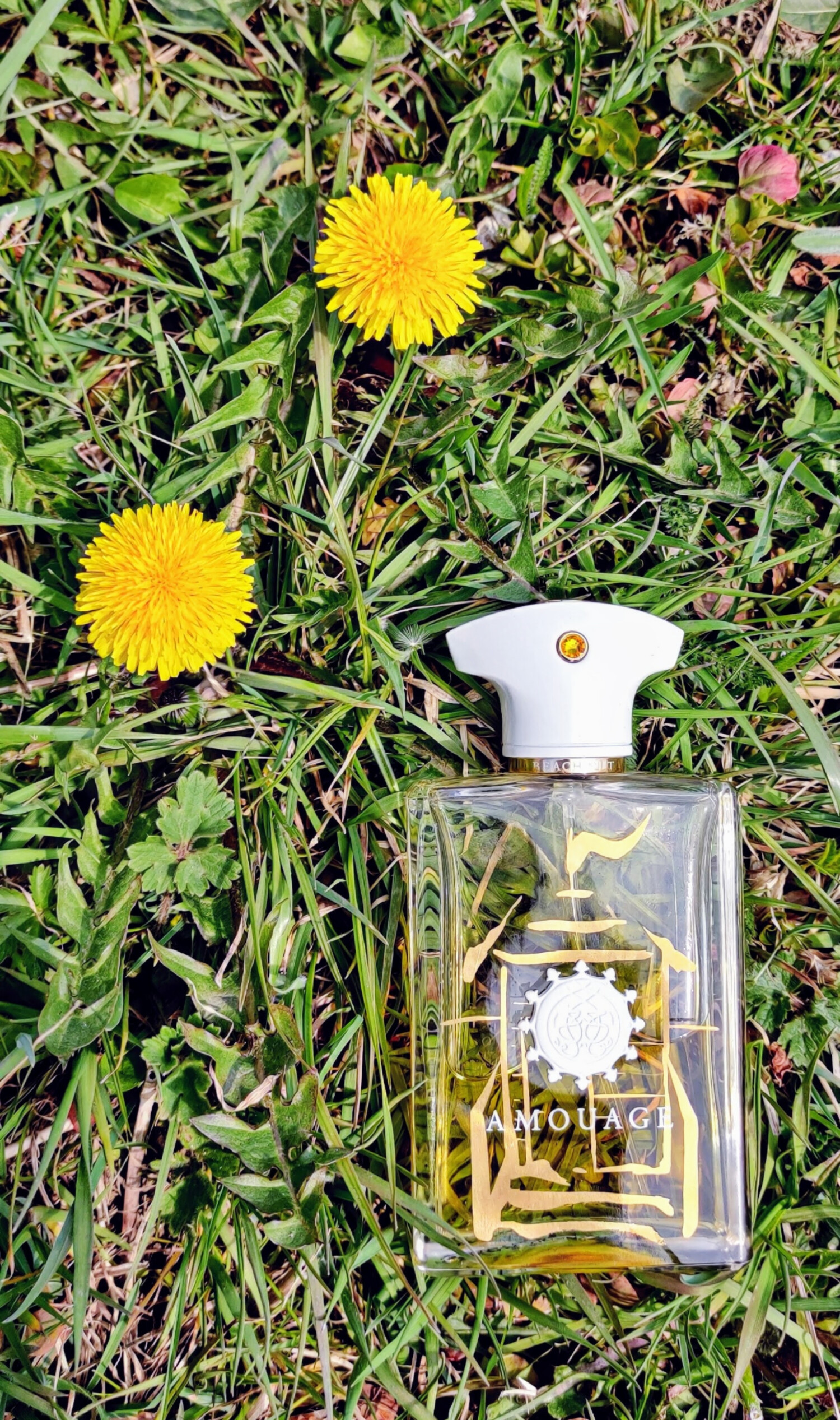 Beach Hut Man Amouage cologne - a fragrance for men 2017