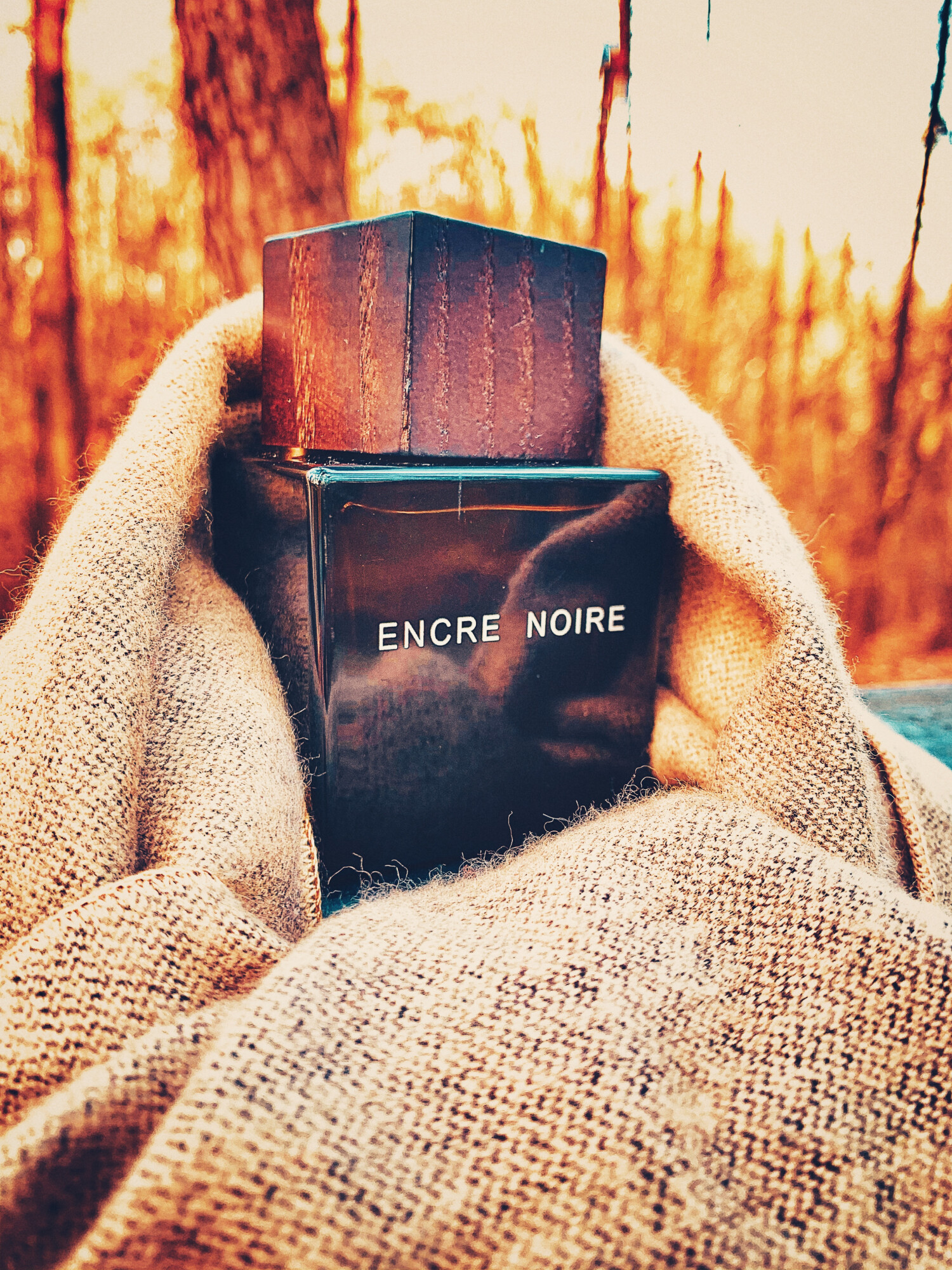 Encre Noire Lalique cologne - a fragrance for men 2006