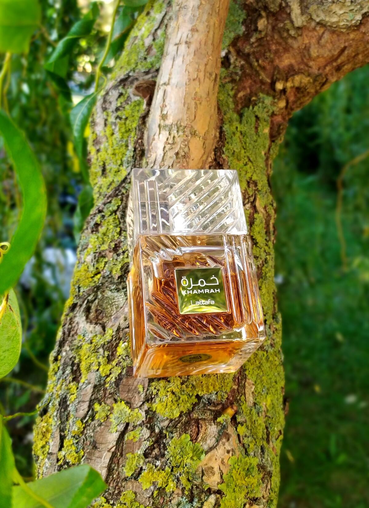 Khamrah Lattafa Perfumes perfume - a new fragrance for women and men 2022