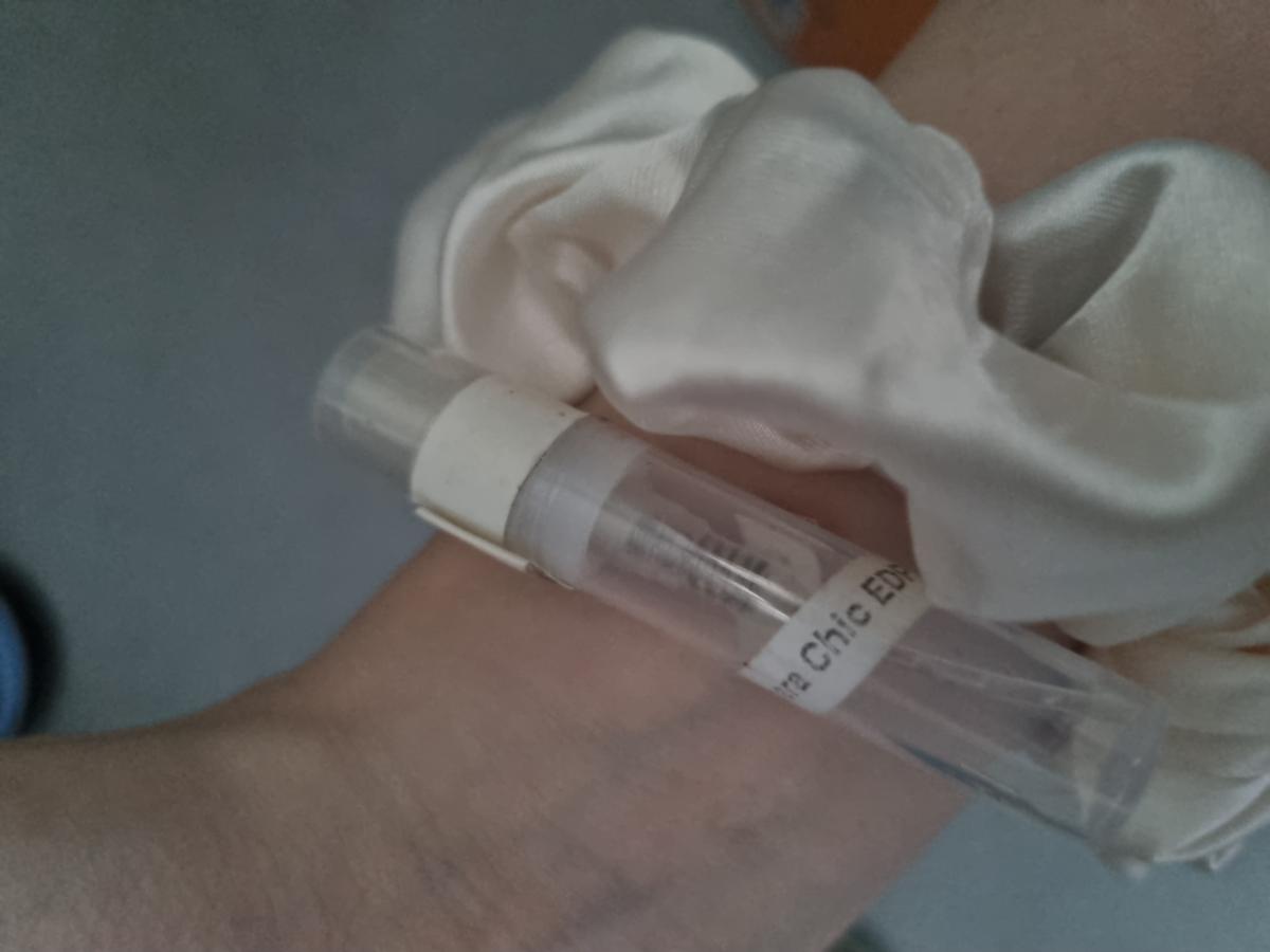 Chic Carolina Herrera perfume - a fragrance for women 2002