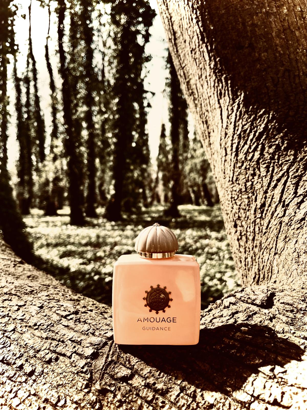 Guidance Amouage perfume - a new fragrance for women and men 2023