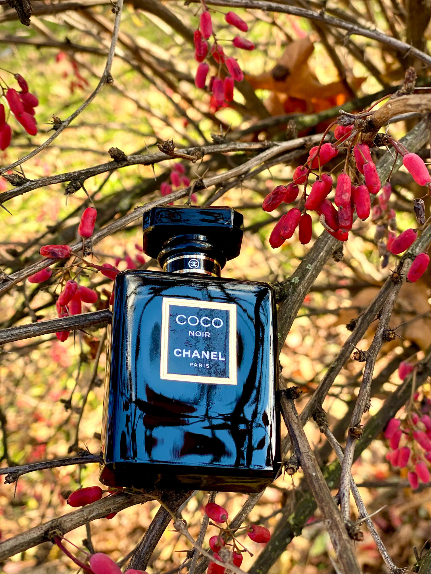 Coco Noir Chanel perfume - a fragrance for women 2012