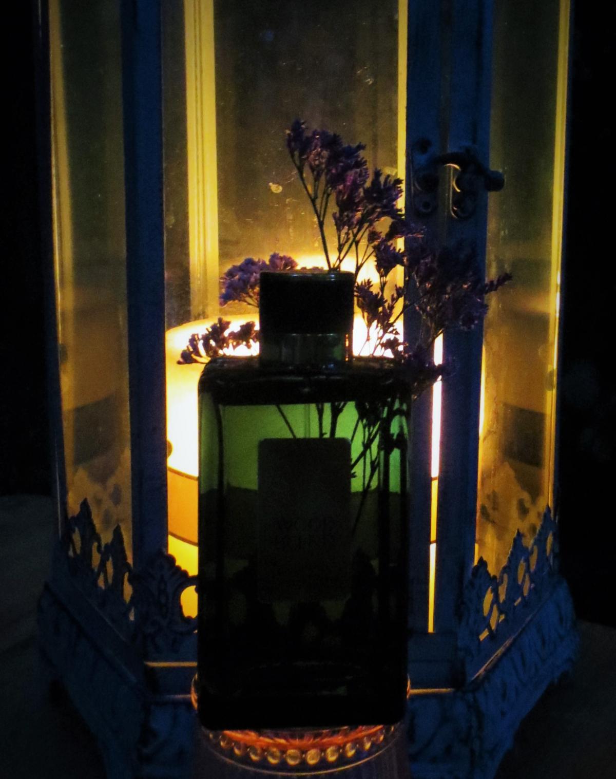 Wood Blend Davidoff perfume - a fragrance for women and men 2017