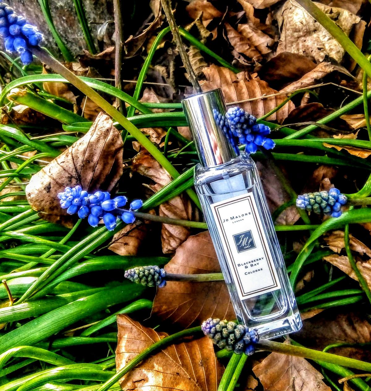 Blackberry & Bay Jo Malone London perfume - a fragrance for women 2012