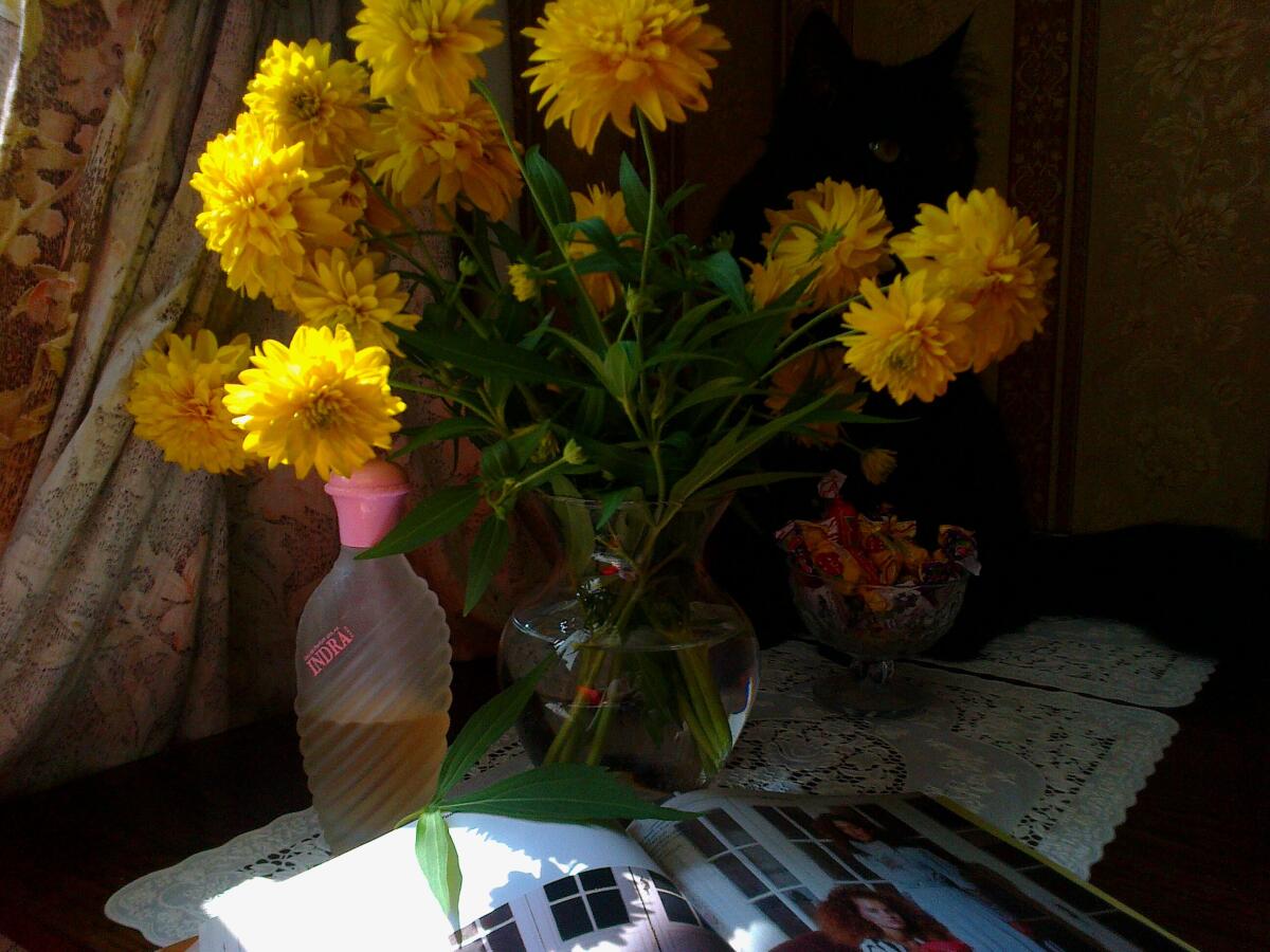 Indra Ulric de Varens perfume - a fragrance for women