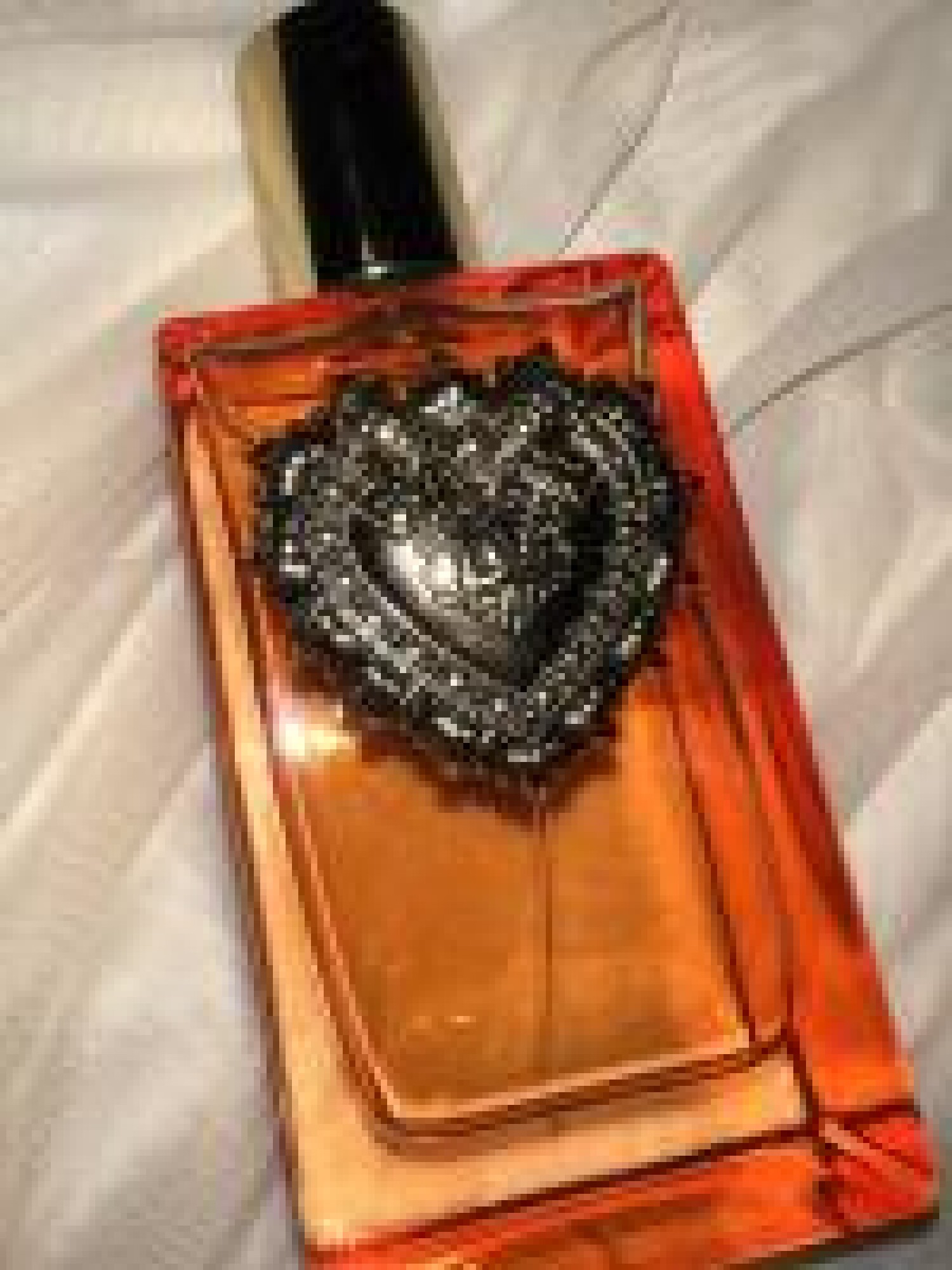 Devotion Intense Dolce&Gabbana perfume - a new fragrance for women 2024