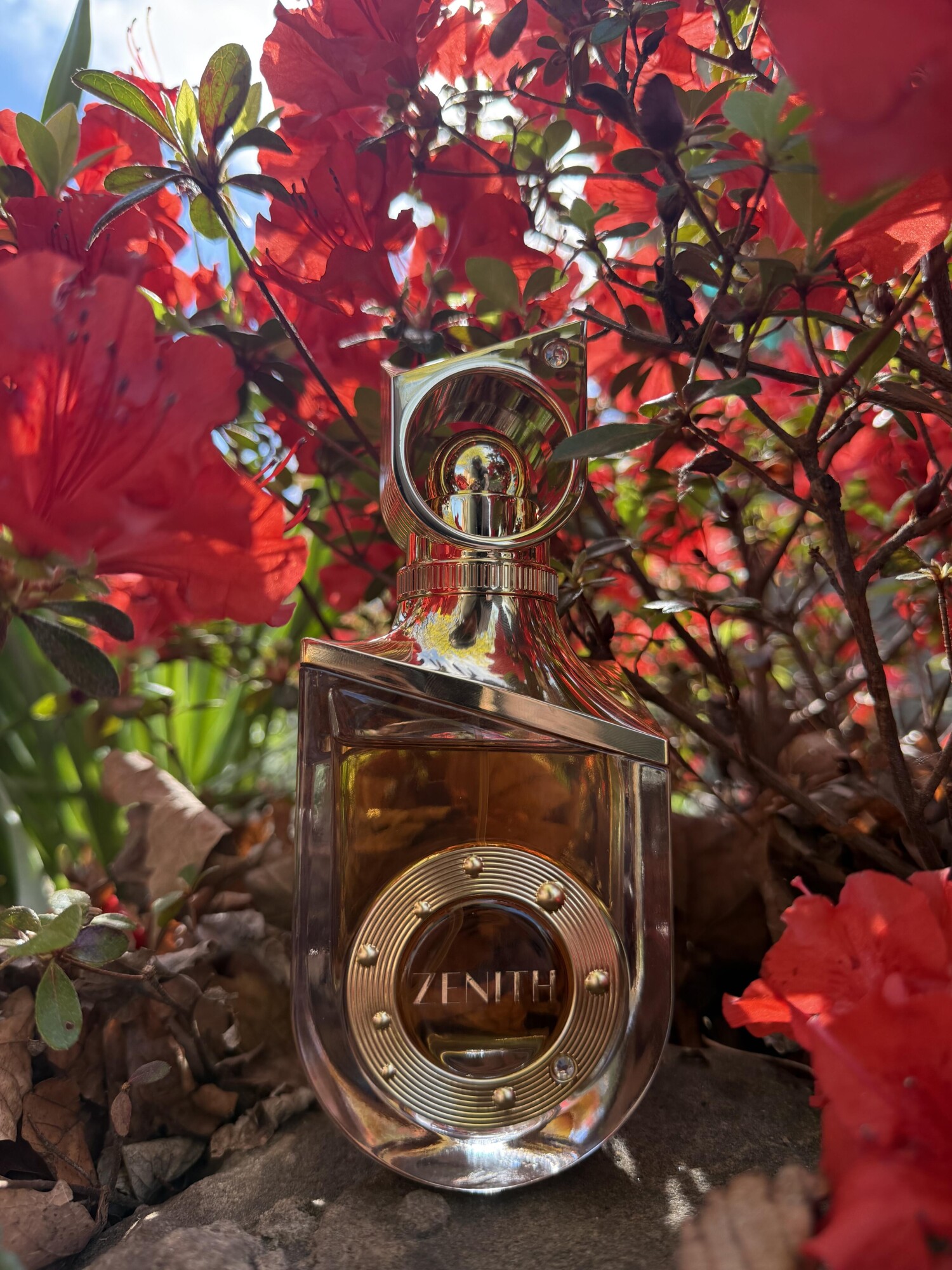Zenith Riiffs Perfumes perfume - a new fragrance for women and men 2025