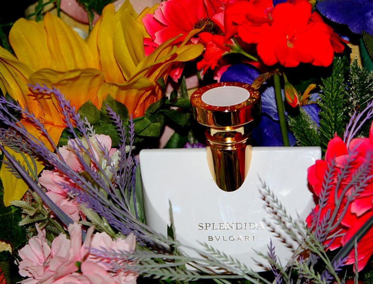 Splendida Patchouli Tentation Bvlgari perfume - a fragrance for women 2020