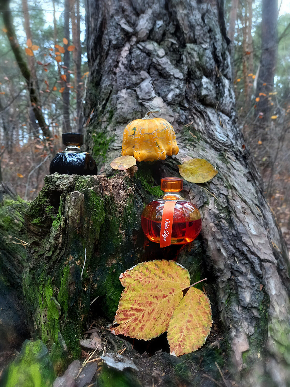 Opera Night Dzintars perfume - a fragrance for women 2013