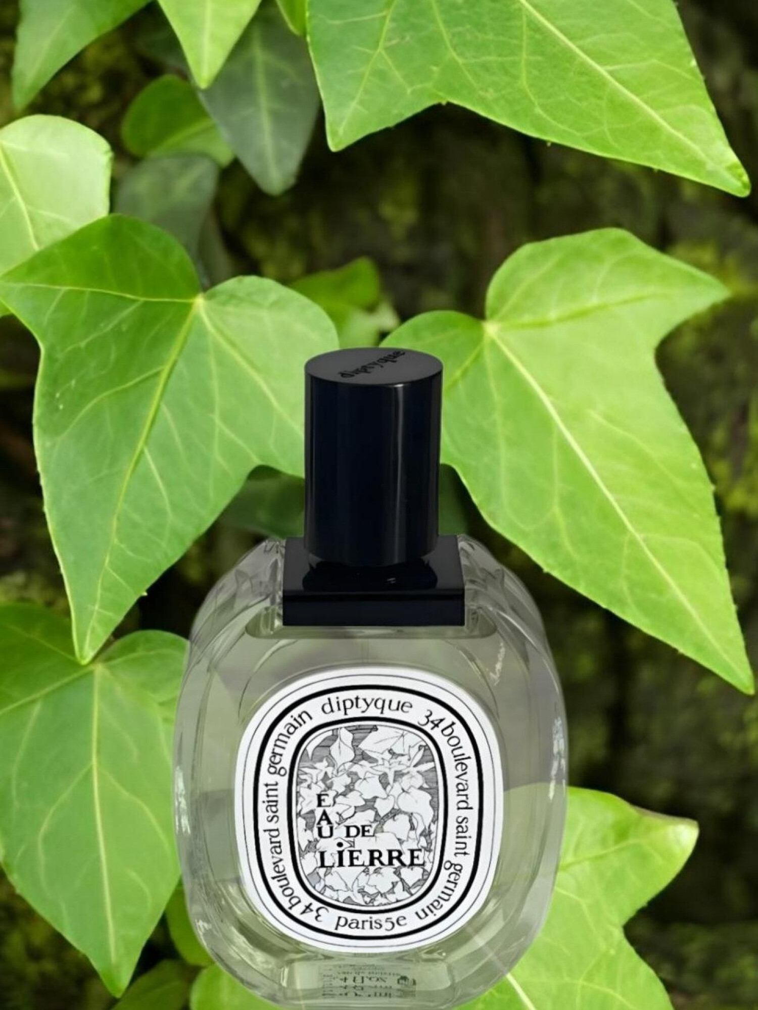 Eau de Lierre Eau de Toilette Diptyque perfume - a fragrance for women 2006