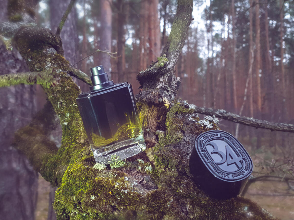 34 Boulevard Saint Germain Eau de Parfum Diptyque perfume - a fragrance ...