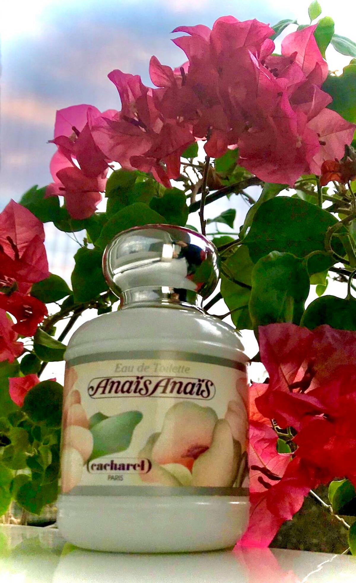 Anais Anais Cacharel perfume - a fragrance for women 1978