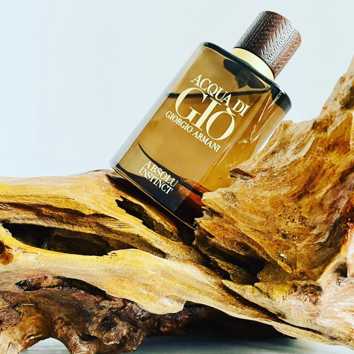 Acqua di Giò Absolu Instinct Giorgio Armani cologne - a fragrance for ...