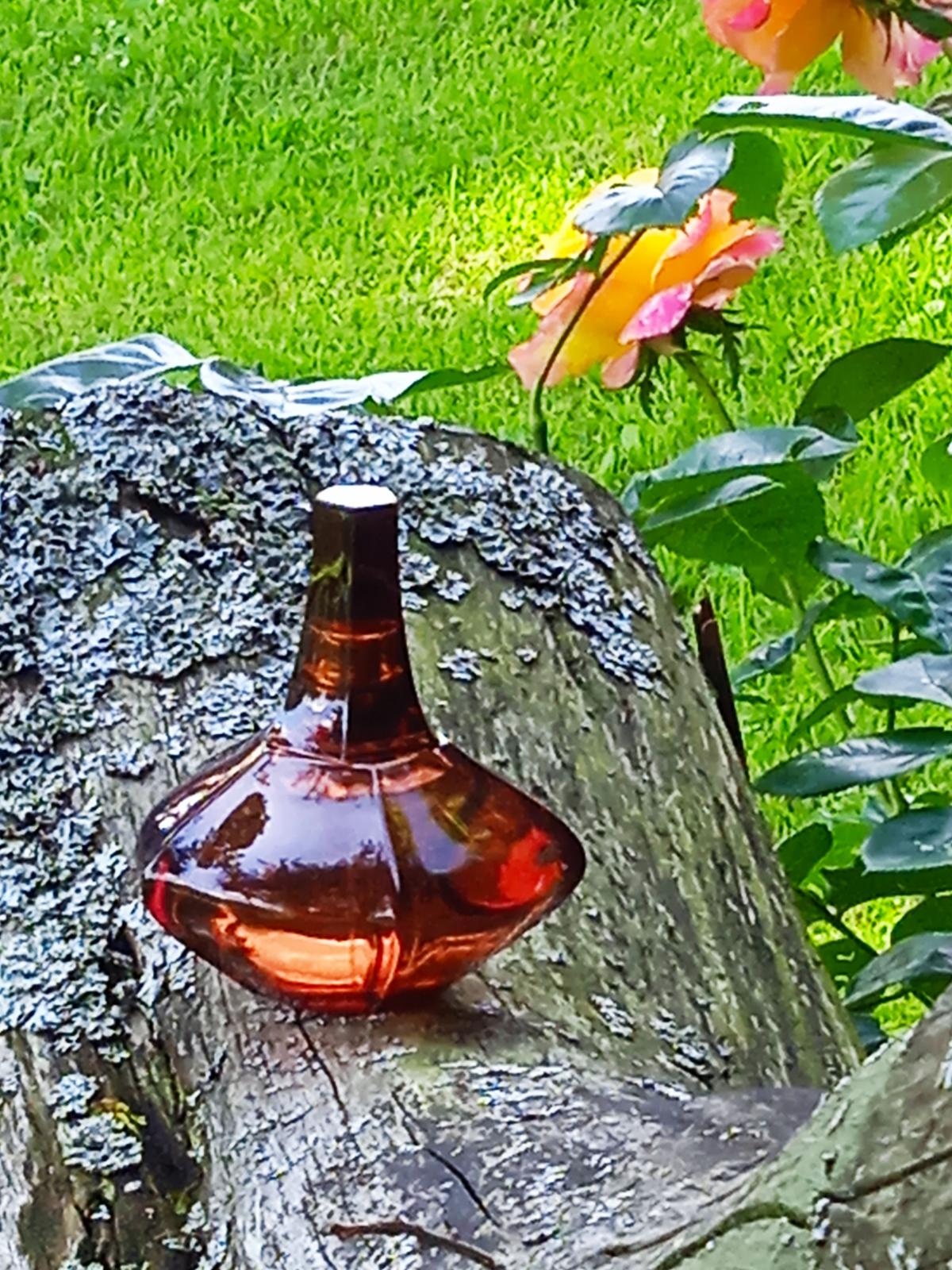 Secret Obsession Calvin Klein perfume - a fragrance for women 2008