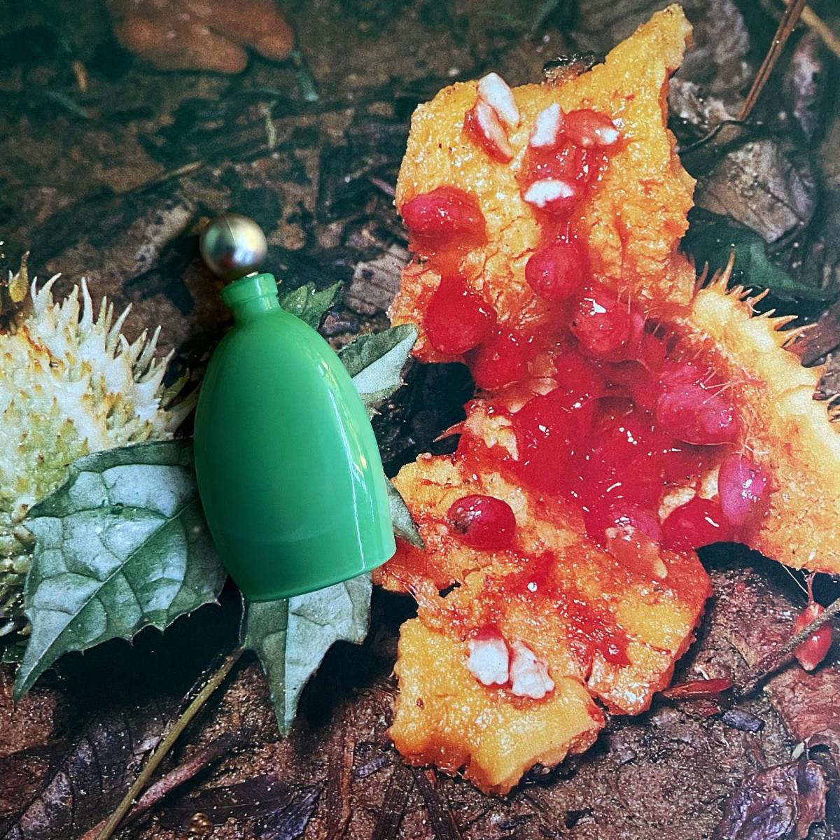 Eden Cacharel perfume - a fragrance for women 1994