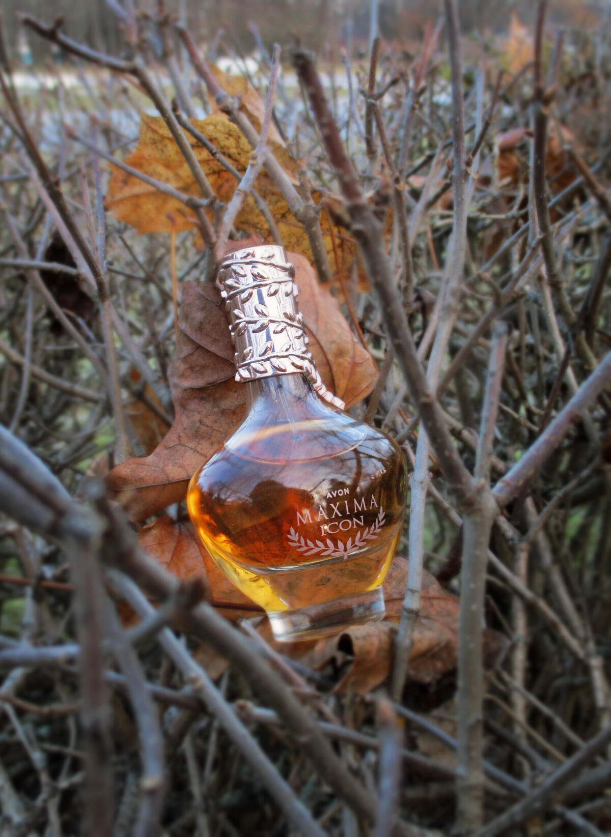 Maxima Icon Avon perfume - a fragrance for women 2021