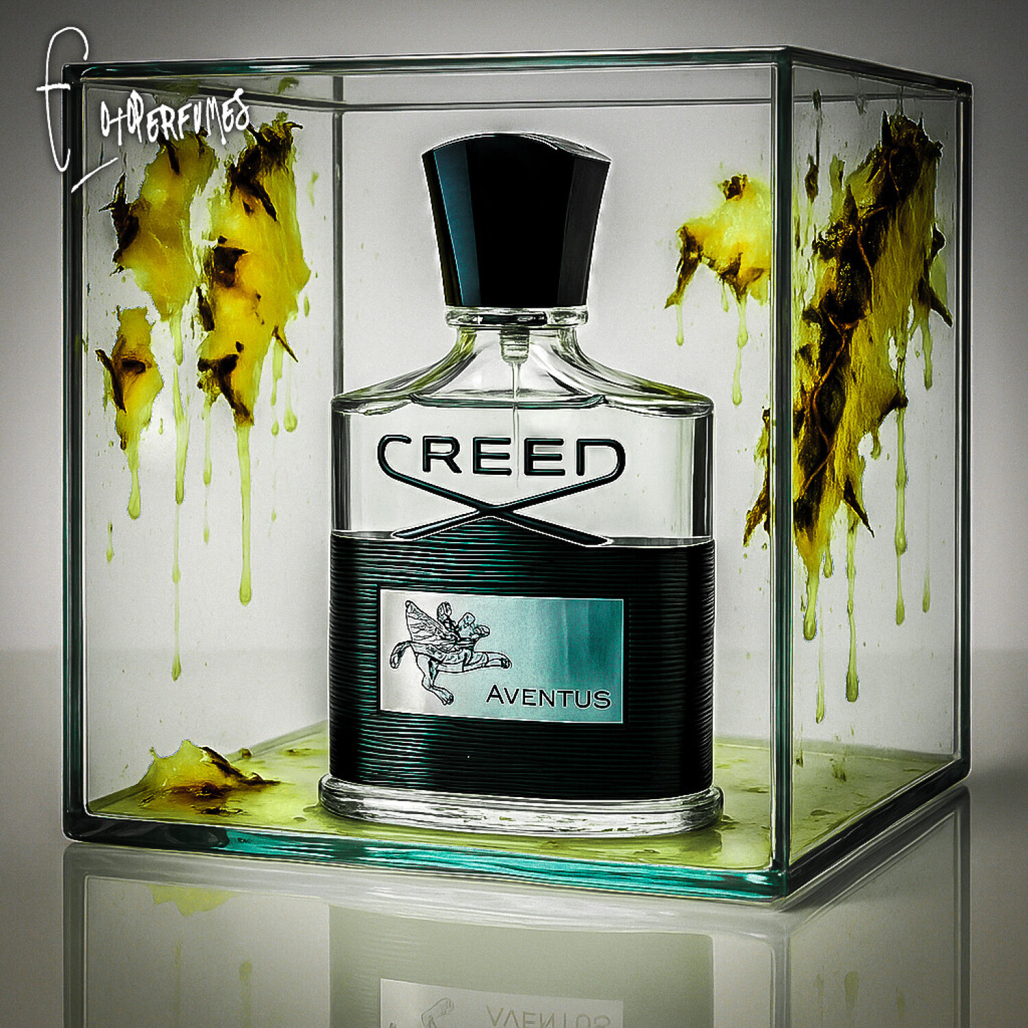 Aventus Creed cologne - a fragrance for men 2010