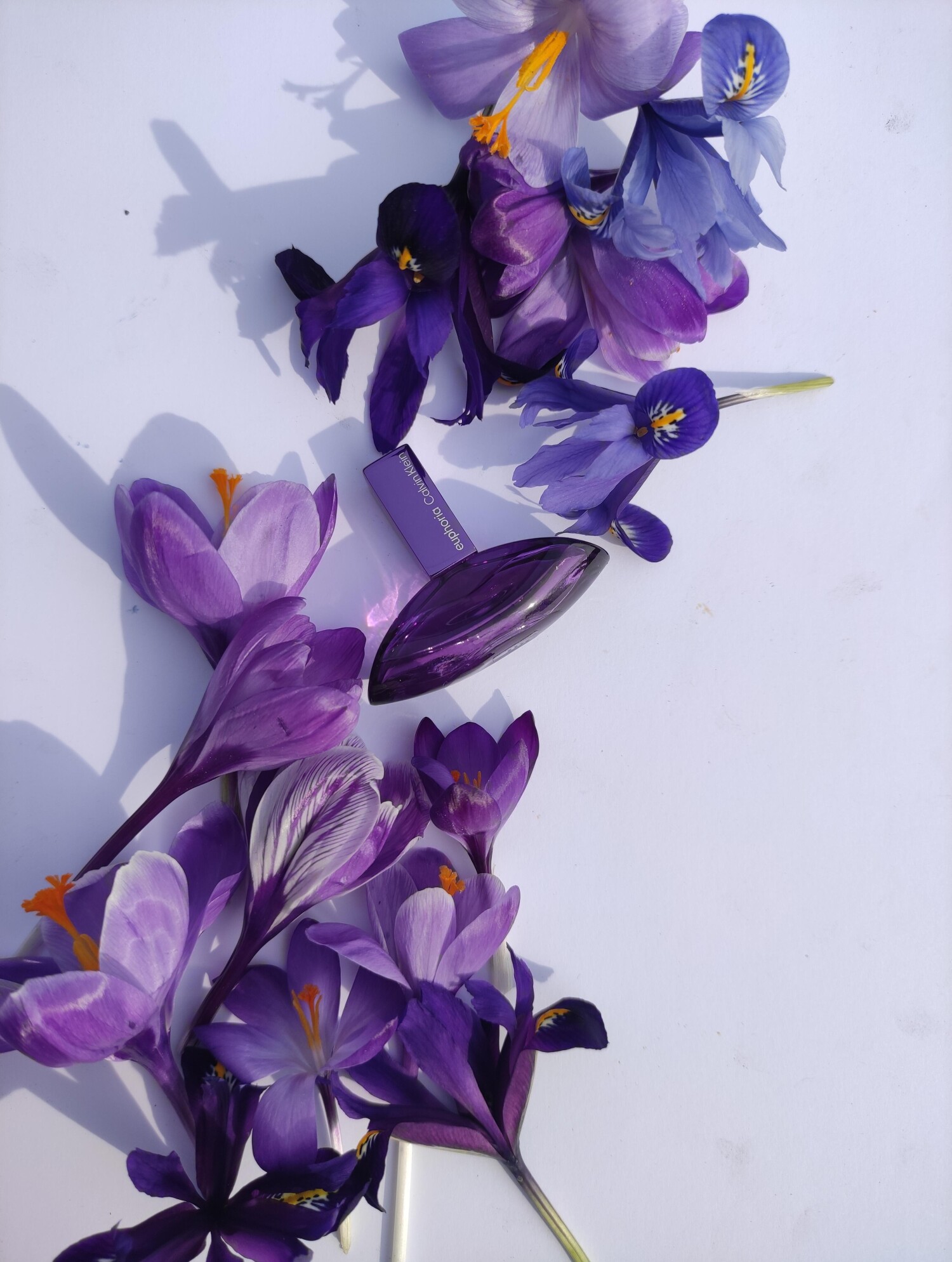Euphoria Bold Elixir Calvin Klein perfume - a new fragrance for women 2026