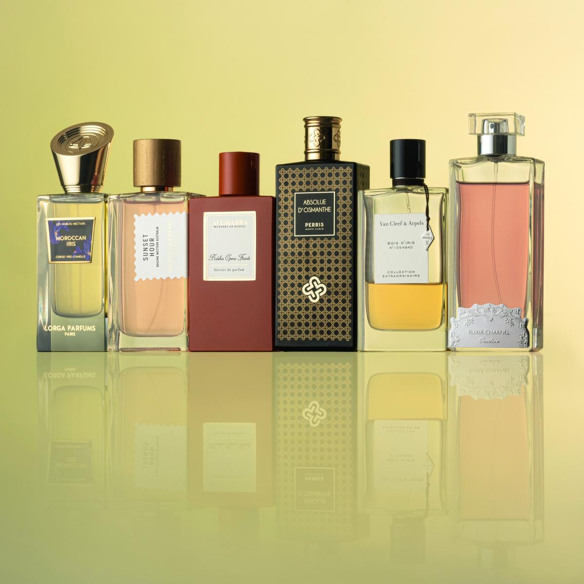 Elixir Charnel Gourmand Coquin Guerlain perfume - a fragrance for women ...