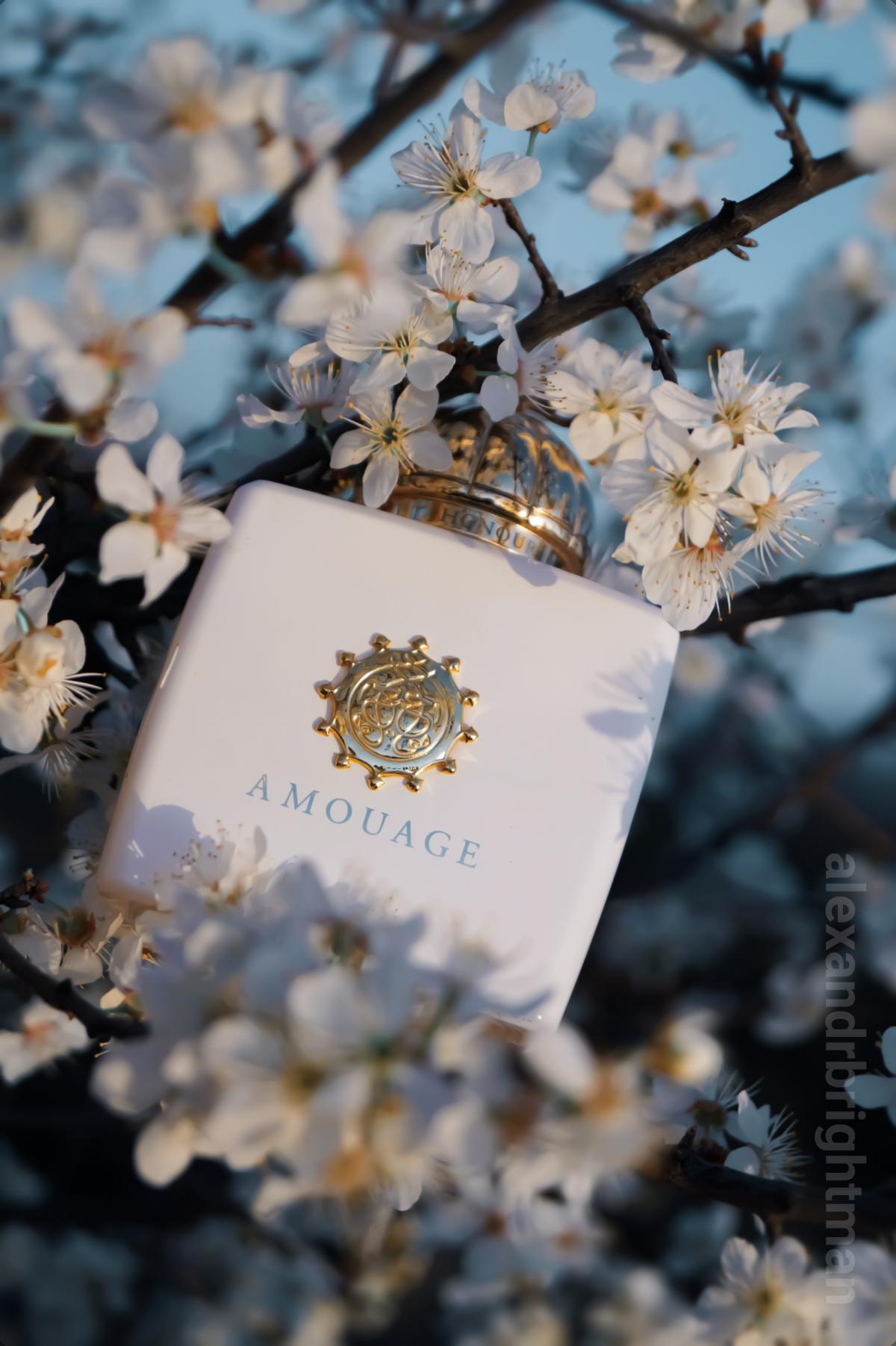 Honour Woman Amouage perfume - a fragrance for women 2011