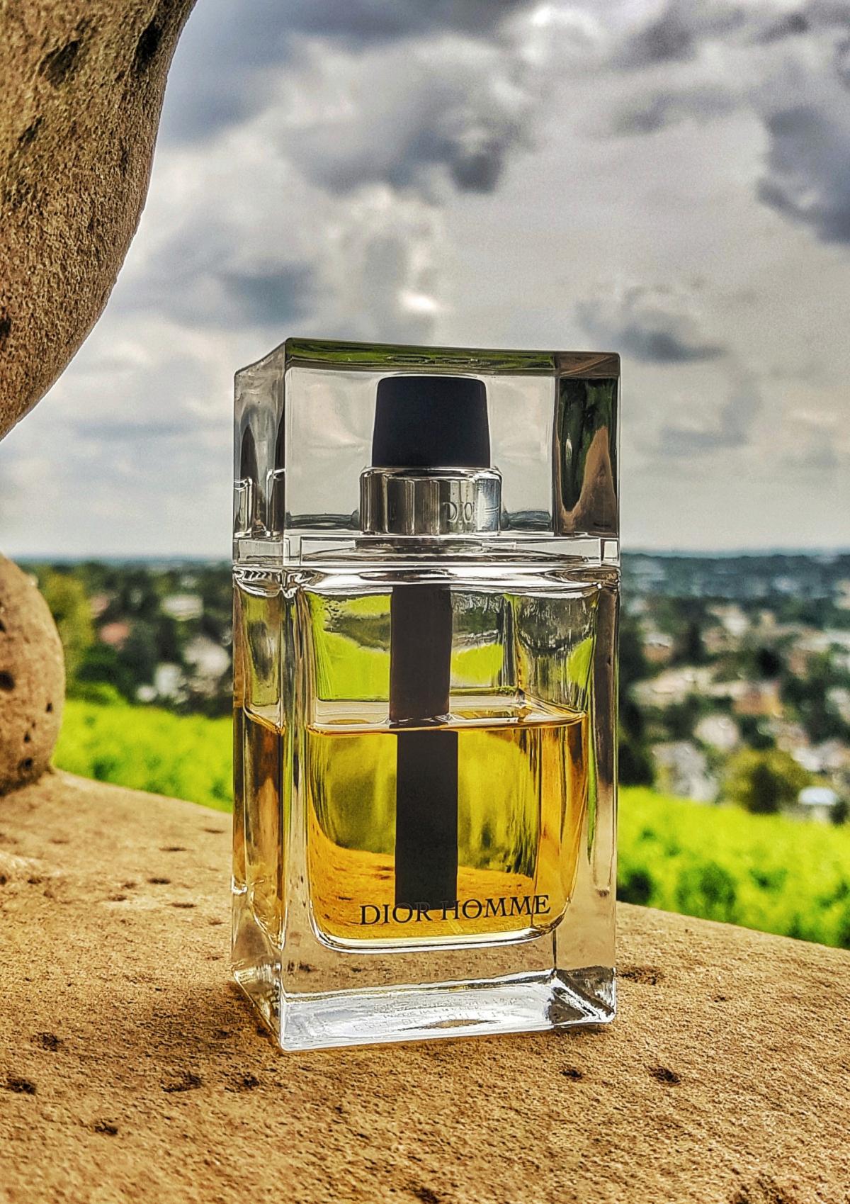 Dior Homme Dior cologne - a fragrance for men 2011