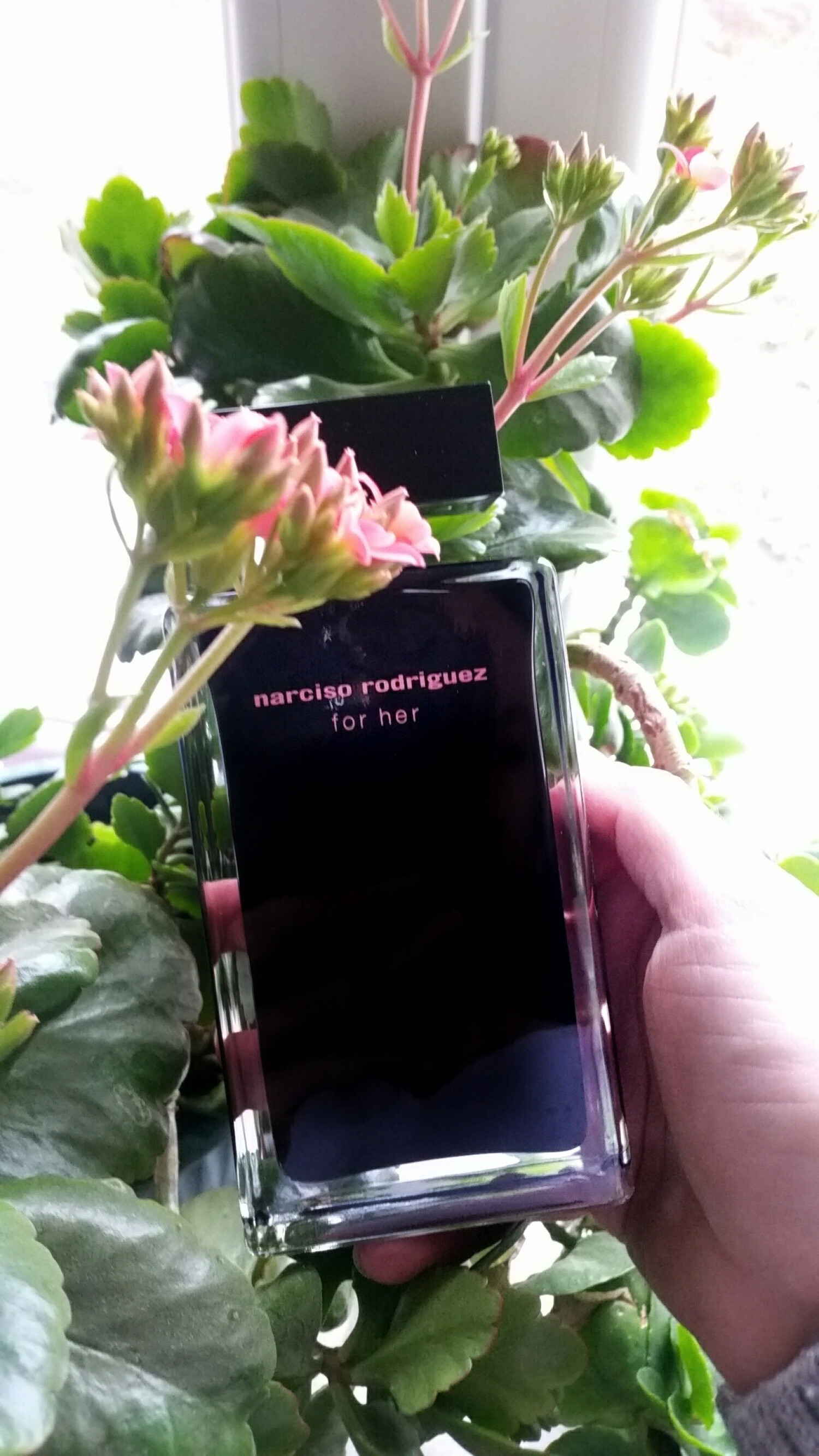 Narciso Rodriguez For Her Narciso Rodriguez perfume - a fragrance for ...