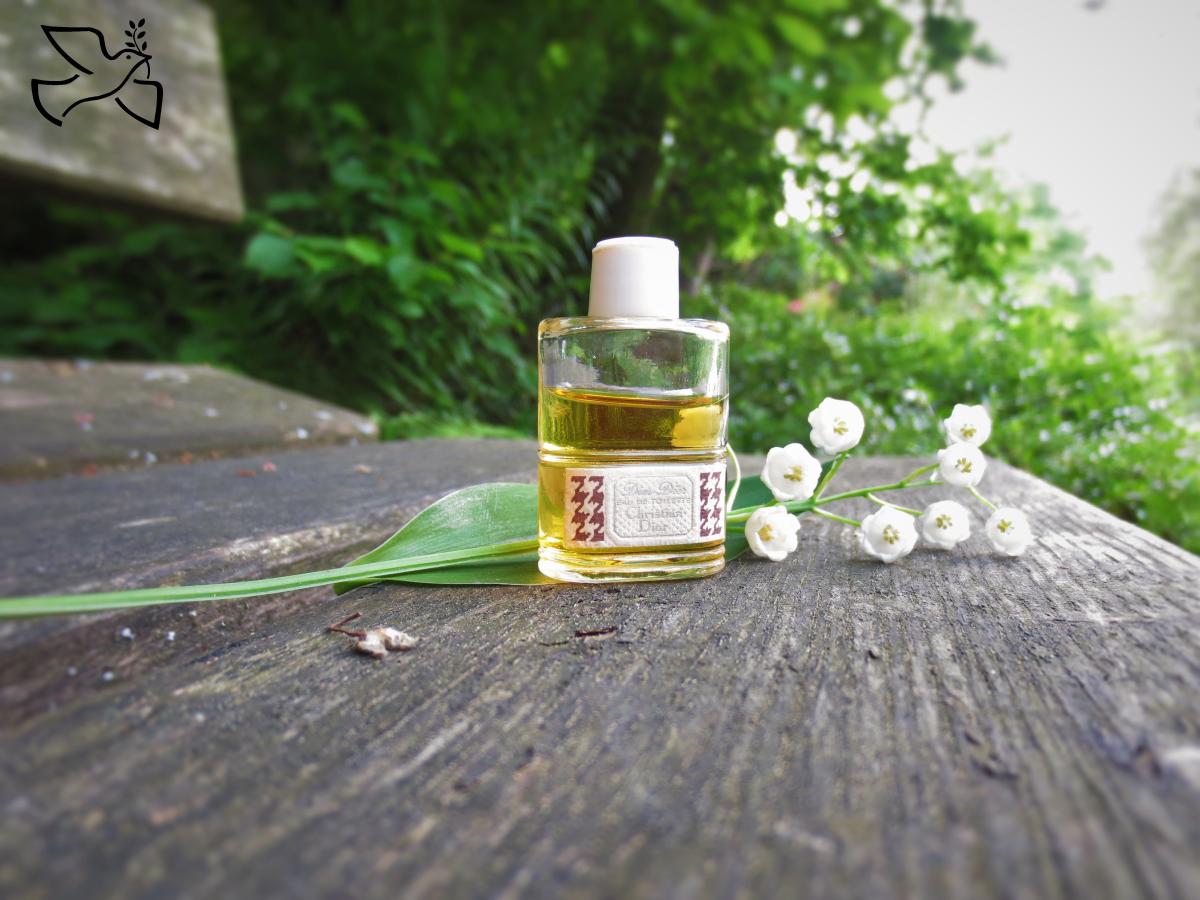 Dior Dior Dior perfume - a fragrance for women 1976