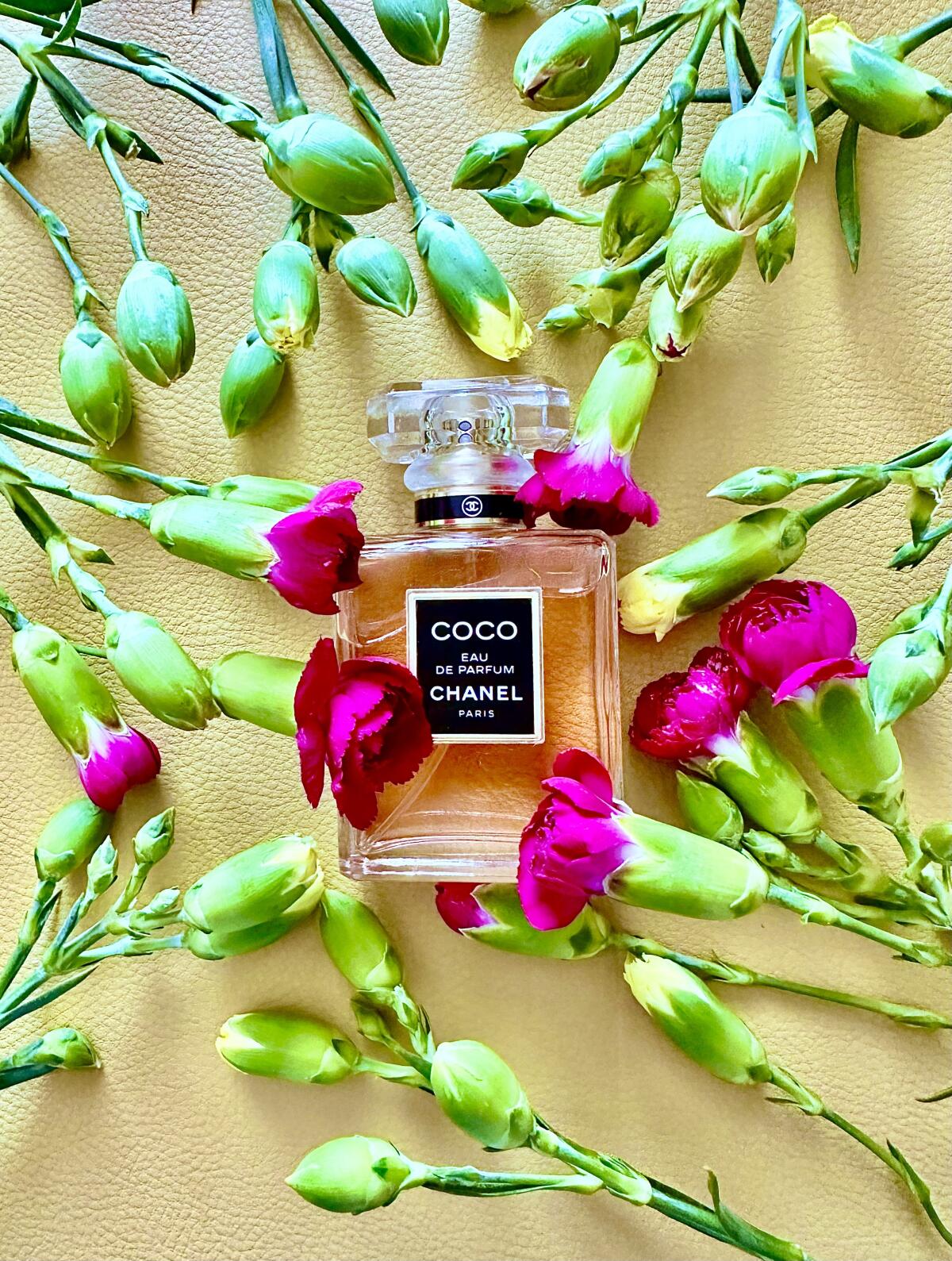 Coco Eau de Parfum Chanel perfume - a fragrance for women 1984