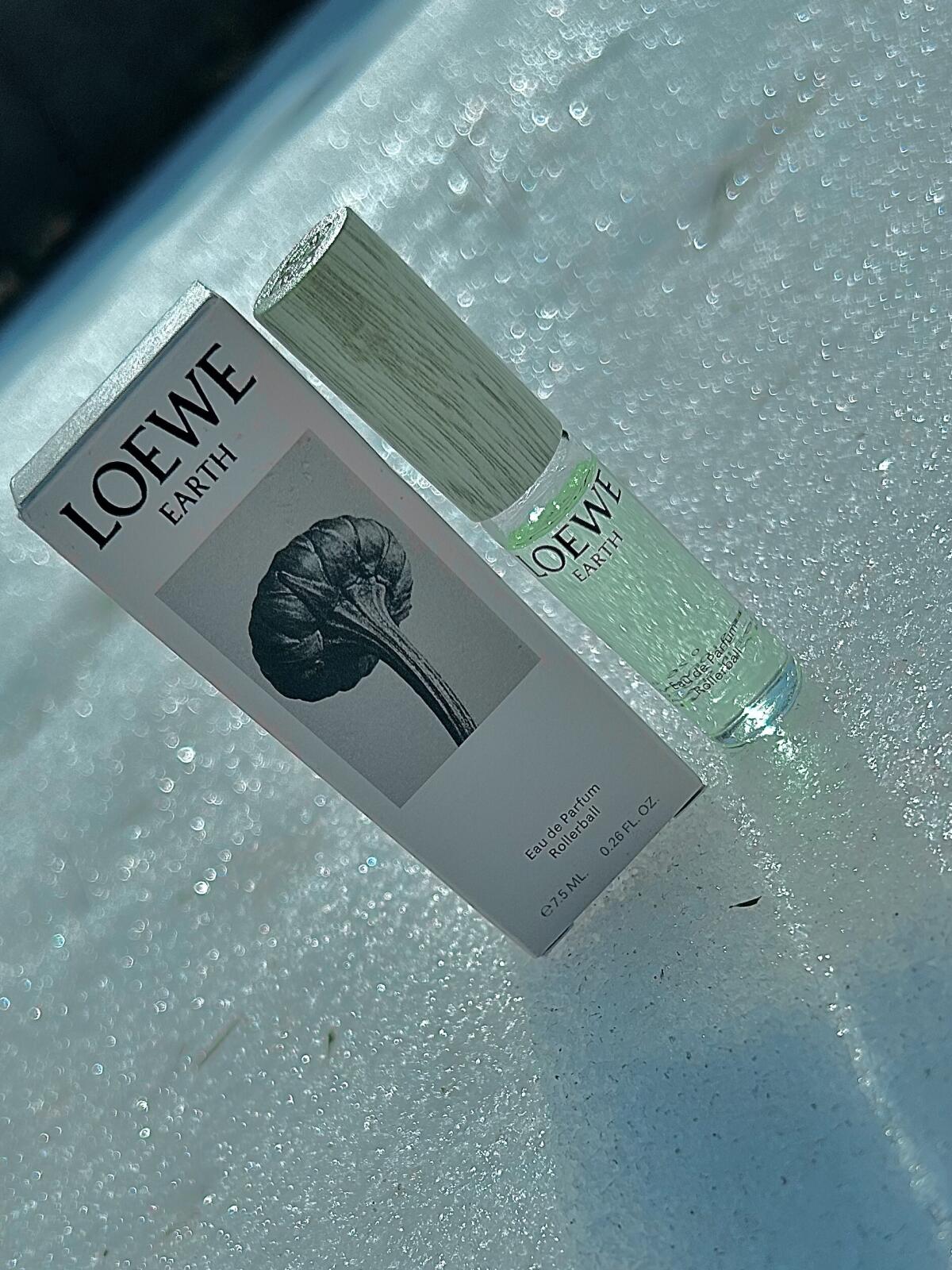 Earth Loewe perfume - a new fragrance for women and men 2022