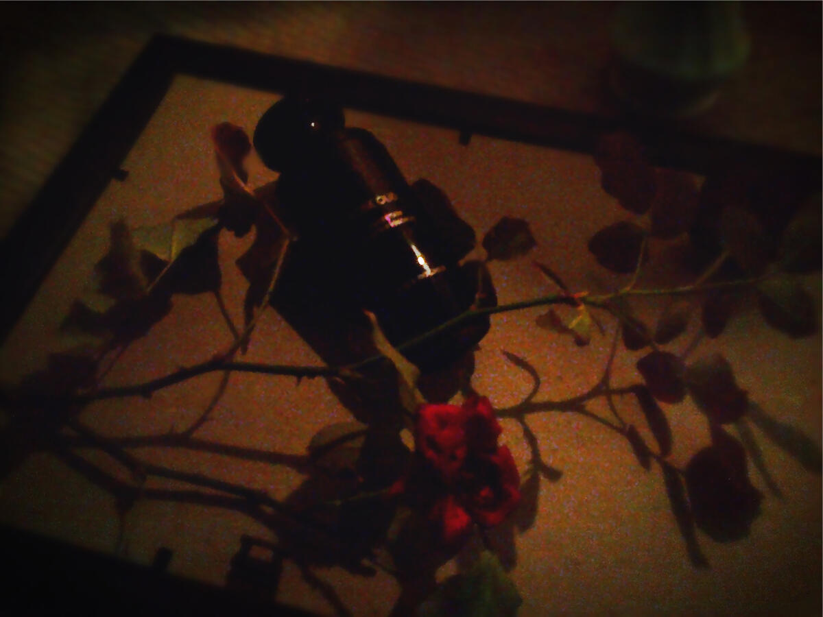 Rose Oud Yves Rocher perfume - a fragrance for women 2016