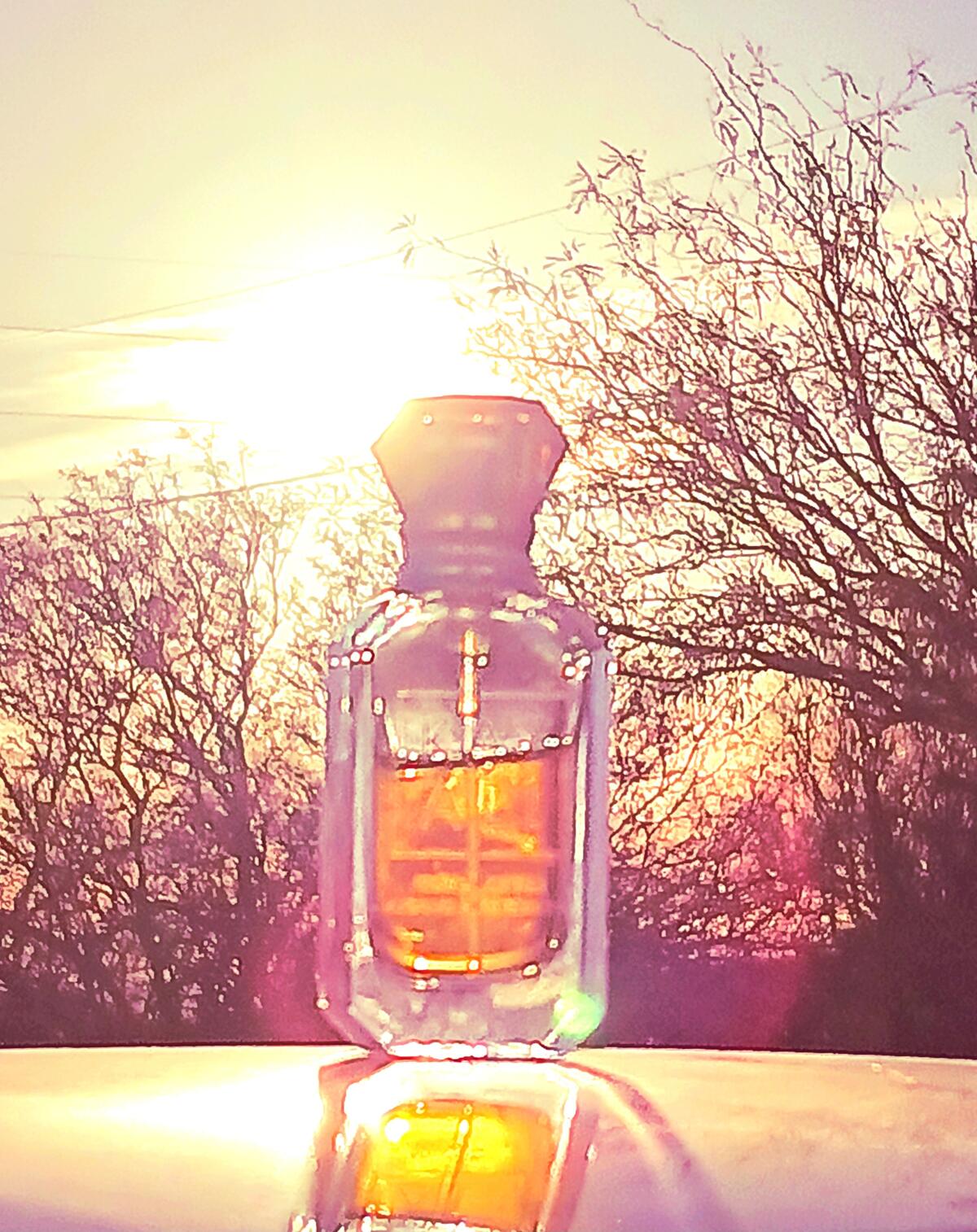 Vanilla Royale Sugared Patchouli | 64 Eau De Parfum Intense Kayali ...