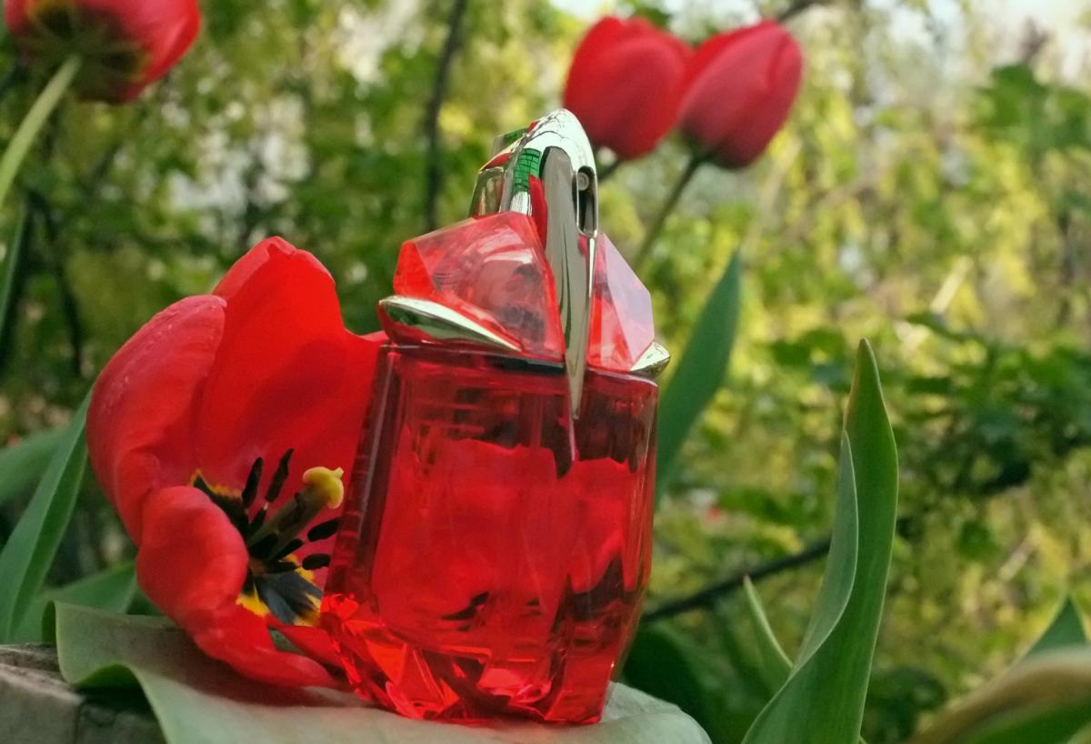 Alien Fusion Mugler perfume - a fragrance for women 2019