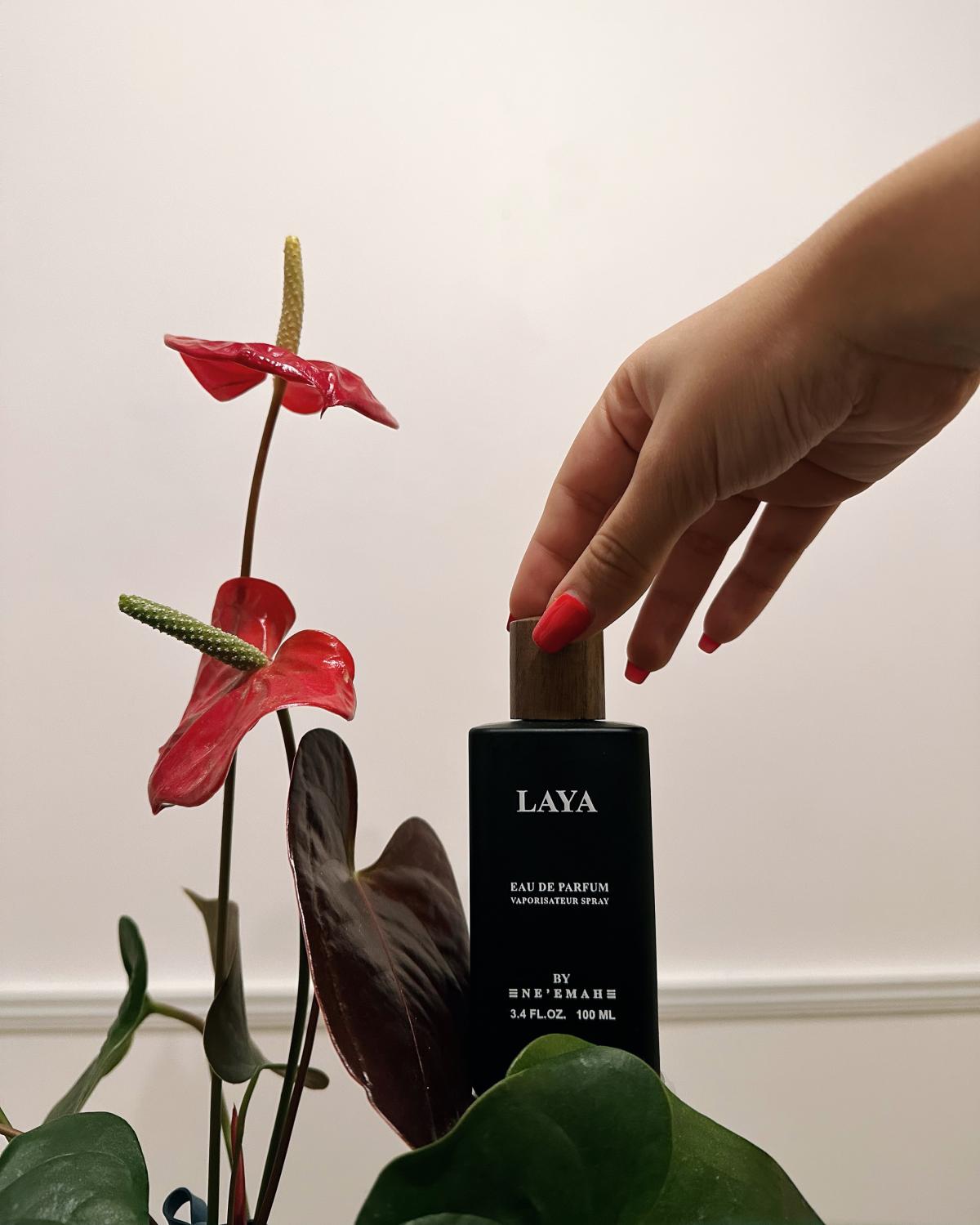 Laya Ne'emah For Fragrance & Oudh perfume - a fragrance for women and ...