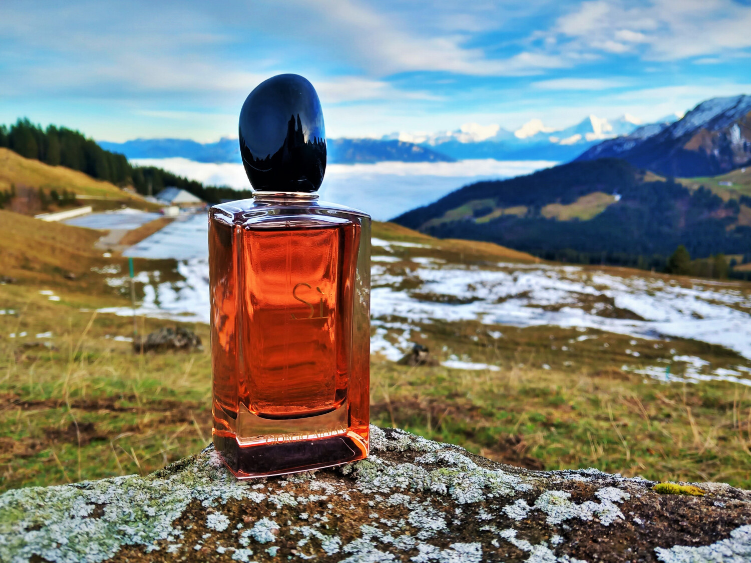 Sì Intense 2021 Giorgio Armani perfume - a fragrance for women 2021
