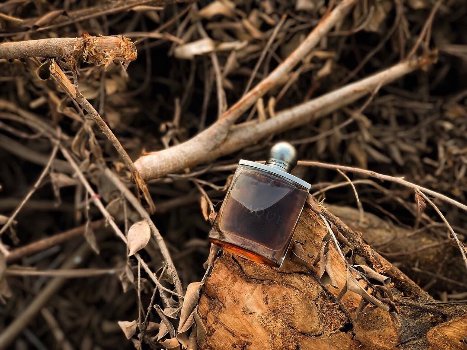 Baque Slumberhouse perfume - a fragrance for women and men 2012