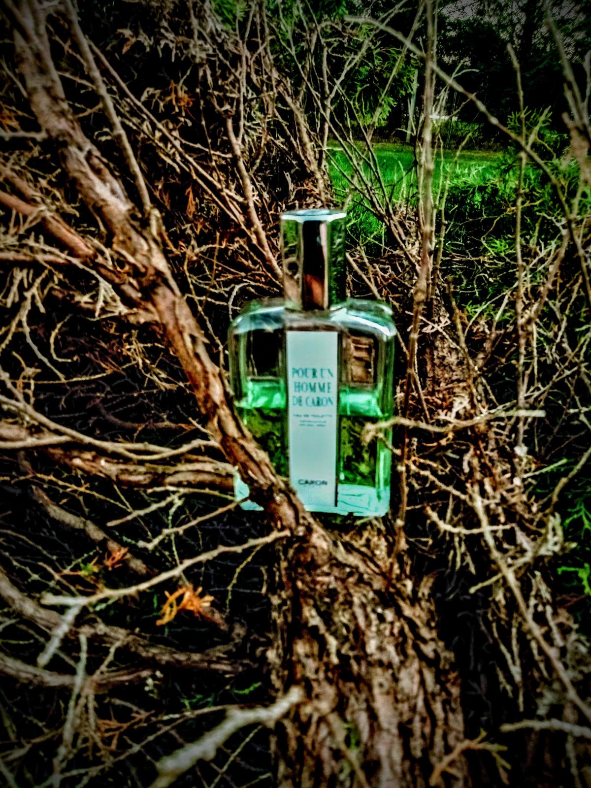 Pour Un Homme de Caron Caron cologne - a fragrance for men 1934