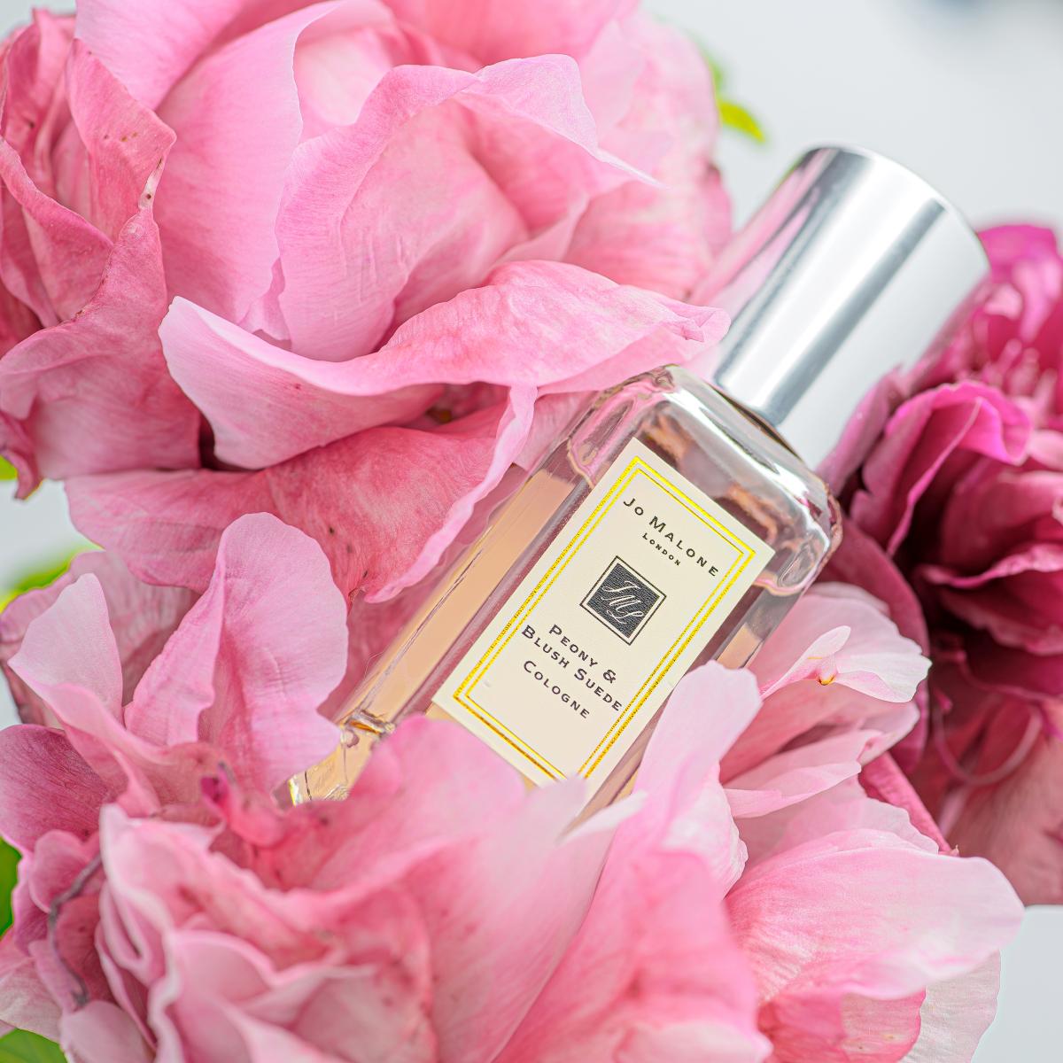 Peony & Blush Suede Jo Malone London perfume - a fragrance for women 2013