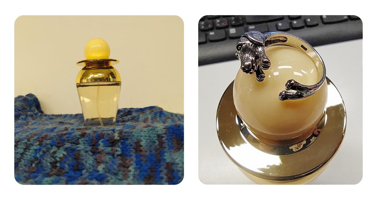 Charming Christine Darvin perfume - a fragrance for women 1995