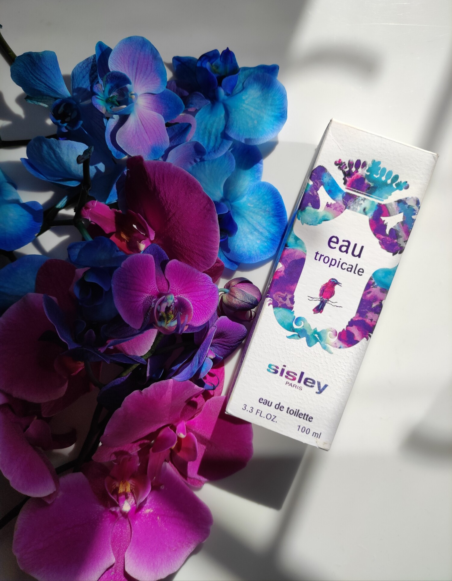 Eau Tropicale Sisley perfume - a fragrance for women 2014