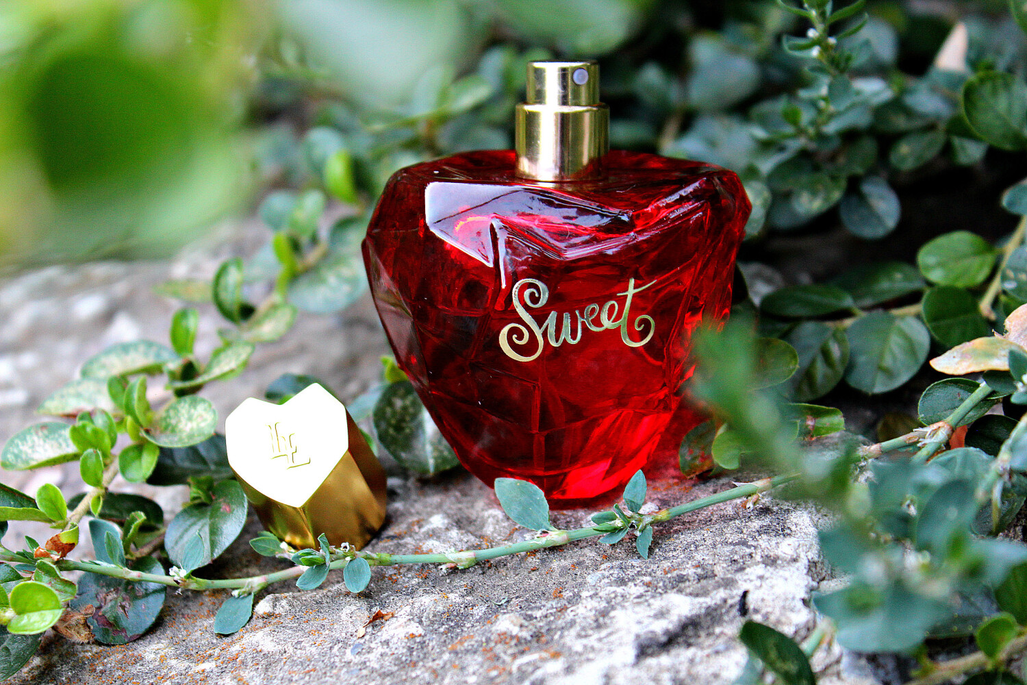 Sweet Lolita Lempicka perfume - a fragrance for women 2014