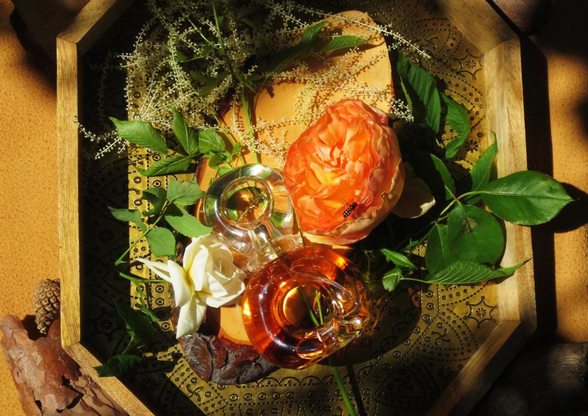 Bijan Bijan perfume - a fragrance for women 1986