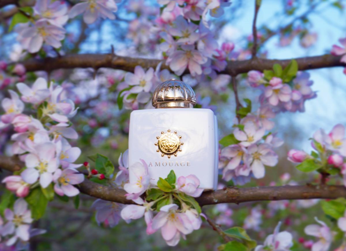 Honour Woman Amouage perfume - a fragrance for women 2011