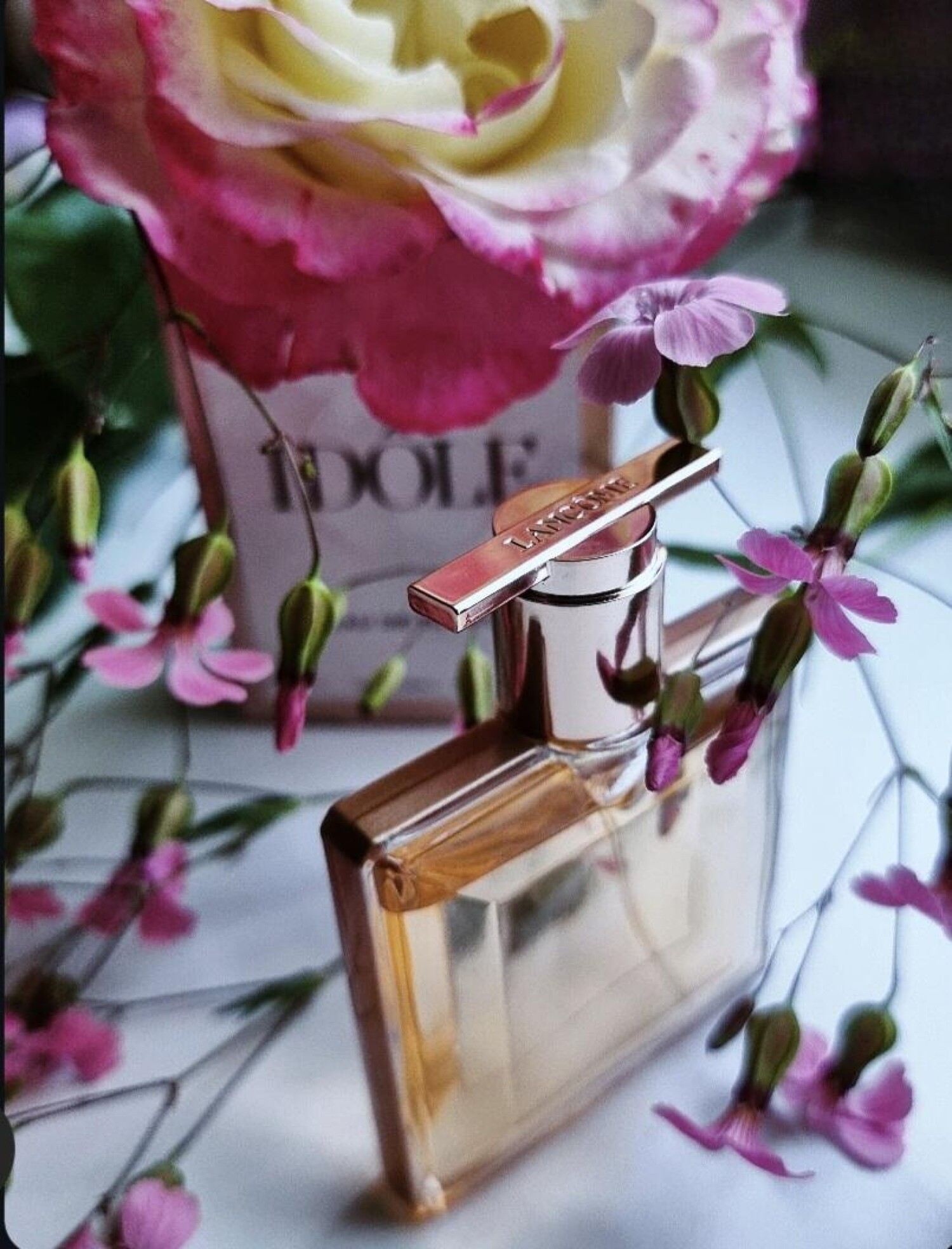 Idôle Eau de Toilette Lancôme perfume - a fragrance for women 2024