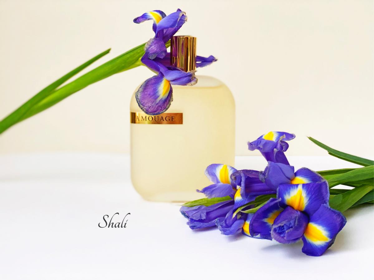 The Library Collection Opus V Amouage perfume - a fragrance for women ...