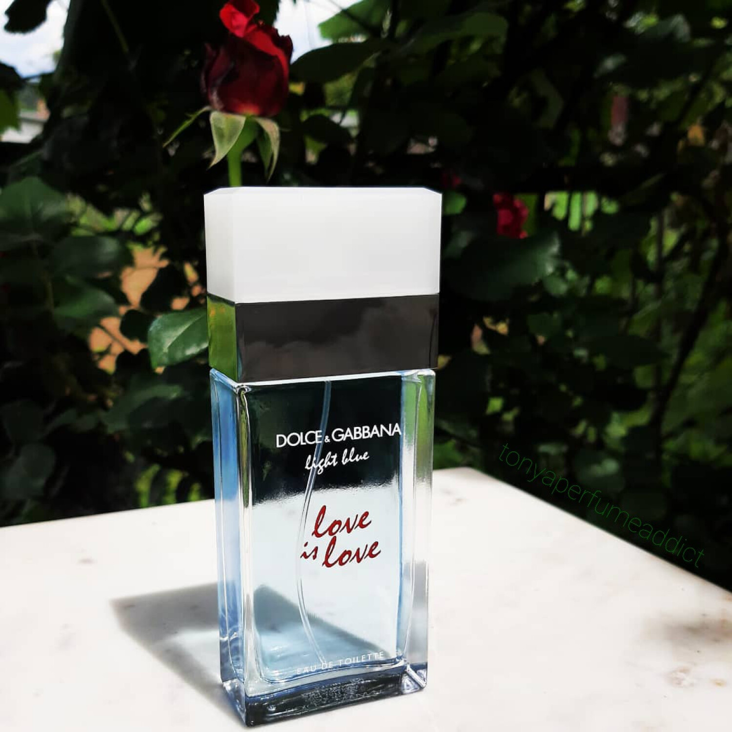 Light Blue Love Is Love Pour Femme Dolce&Gabbana parfem - parfem za ...